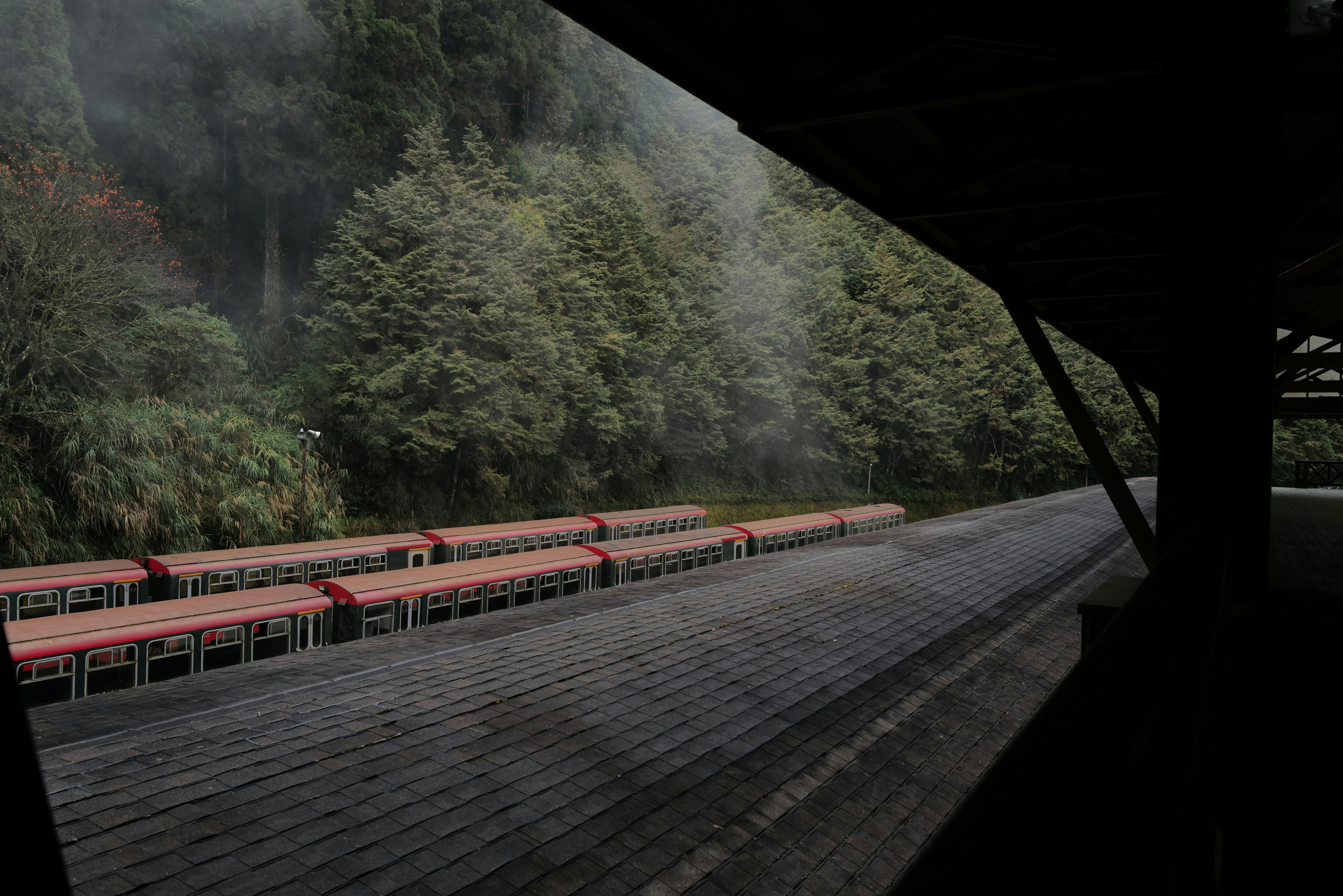 Perimeter of Rails: Trains Rest Along a Forested Platform