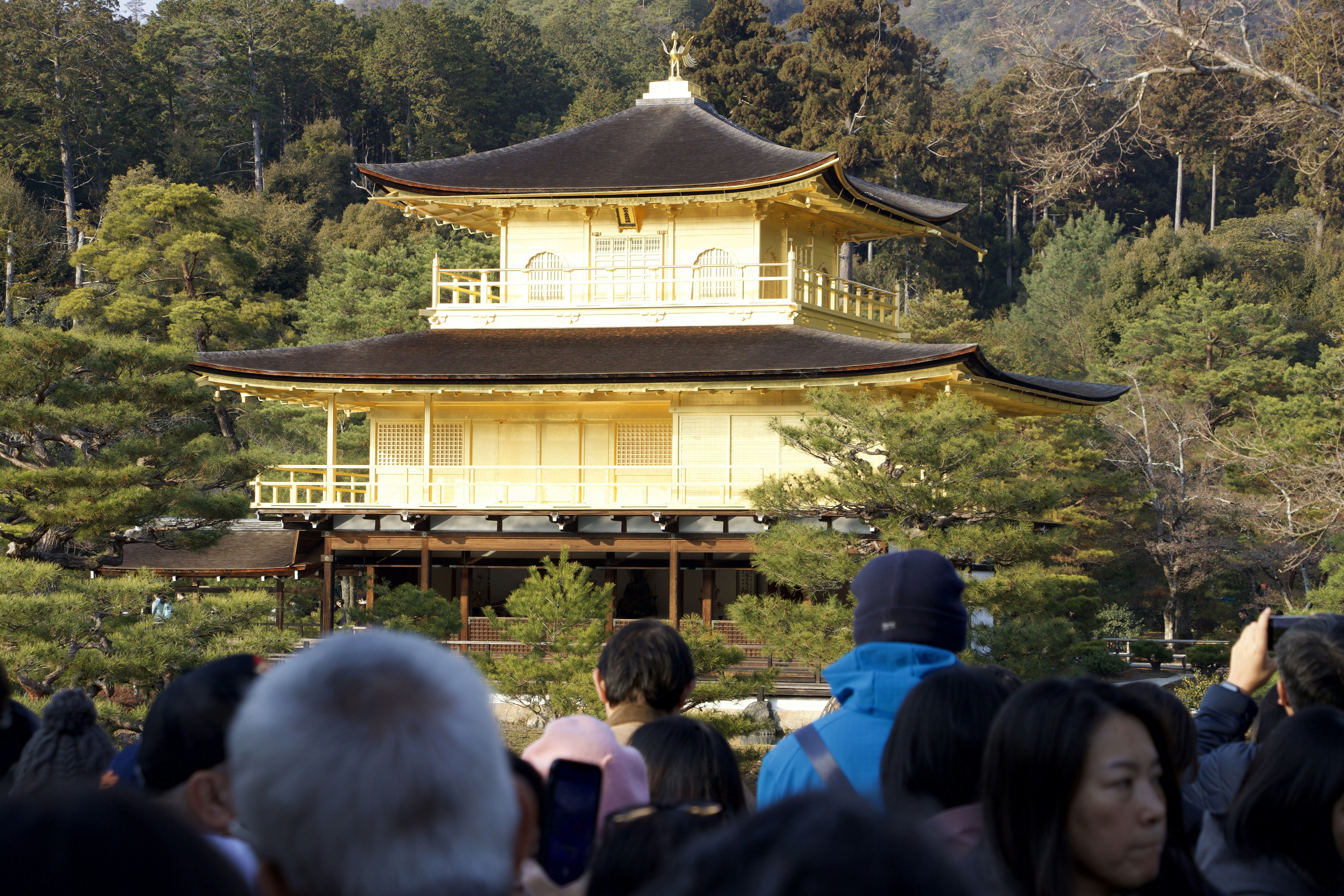 Golden Pavilion: A Crowd Gathers Before Kinkaku-ji's Glowing Torchiest Moment