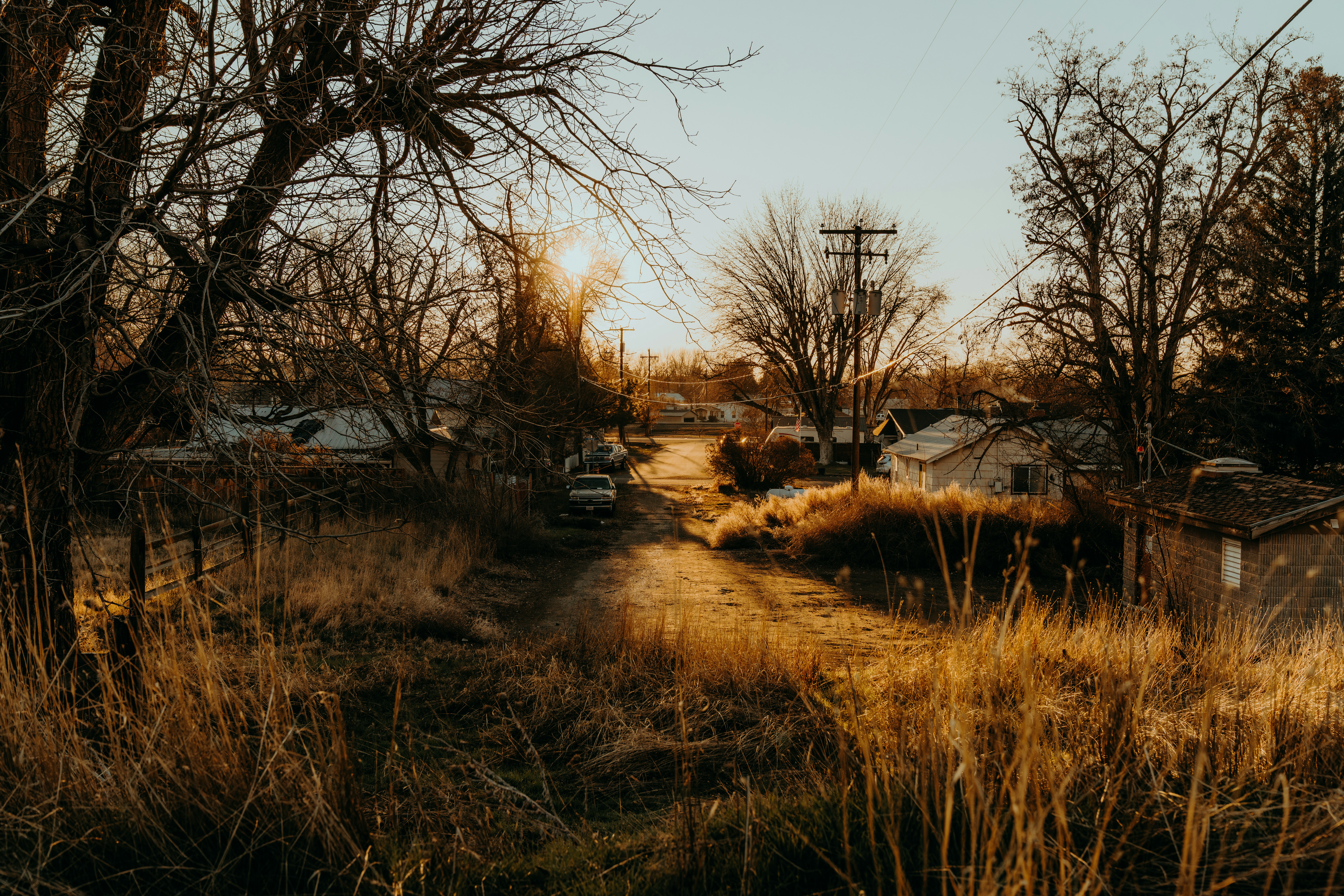 Golden Hour in an Arid Suburban Field