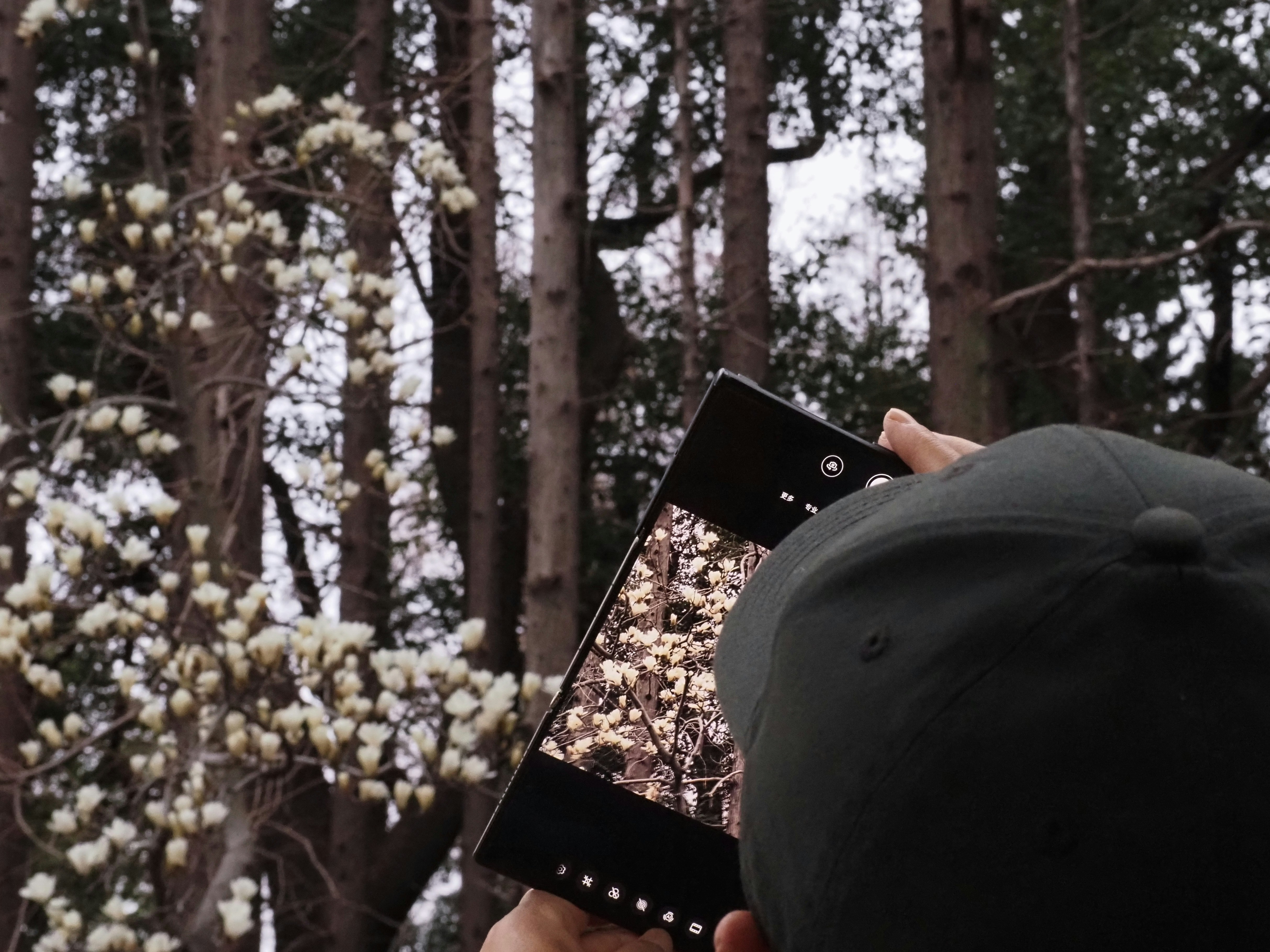 Tablet Framing: A Portrait of a Creator in the Woods
