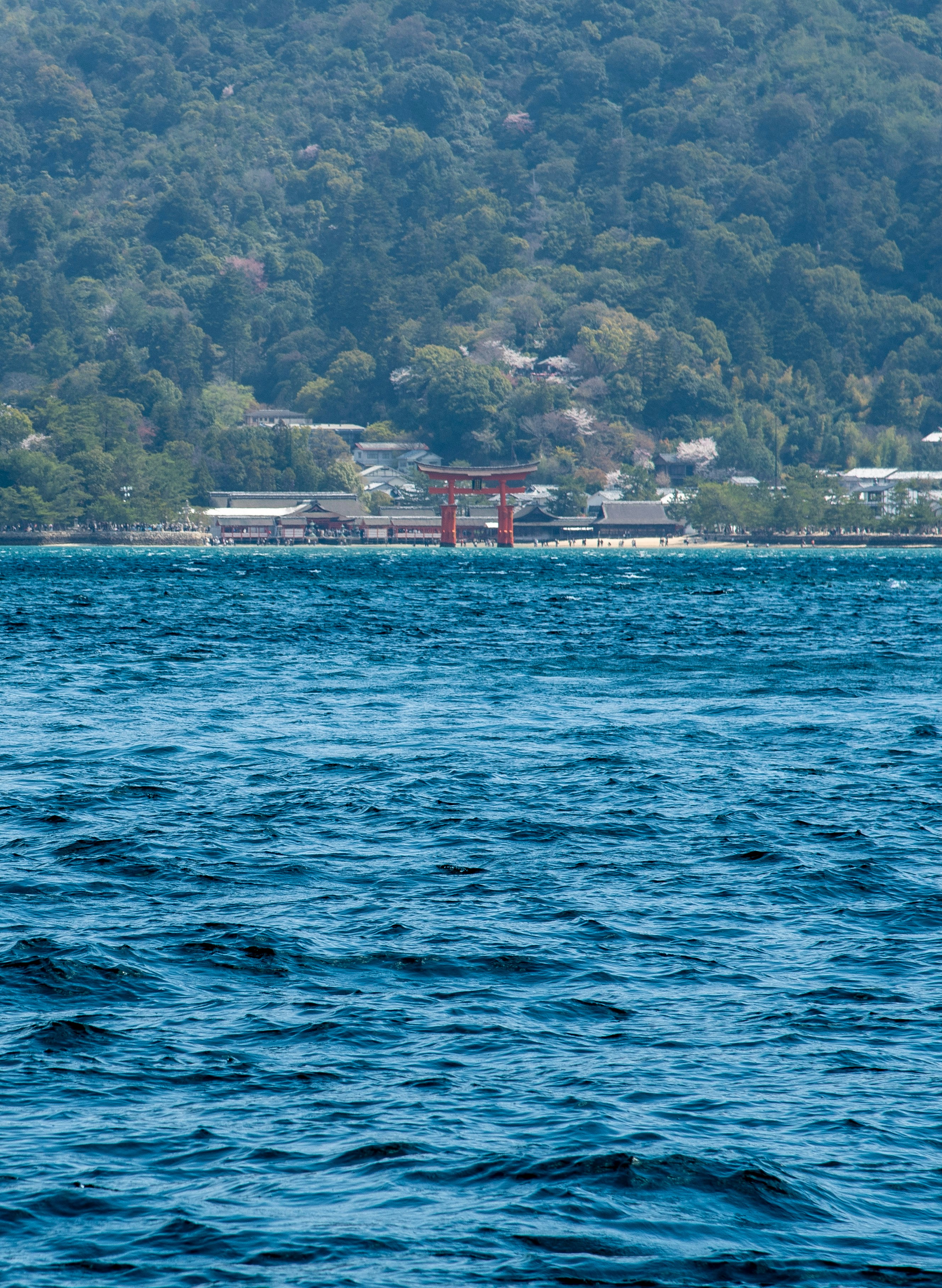 Red Torii Gate Framing a Seaside Temple Against Forested Hills