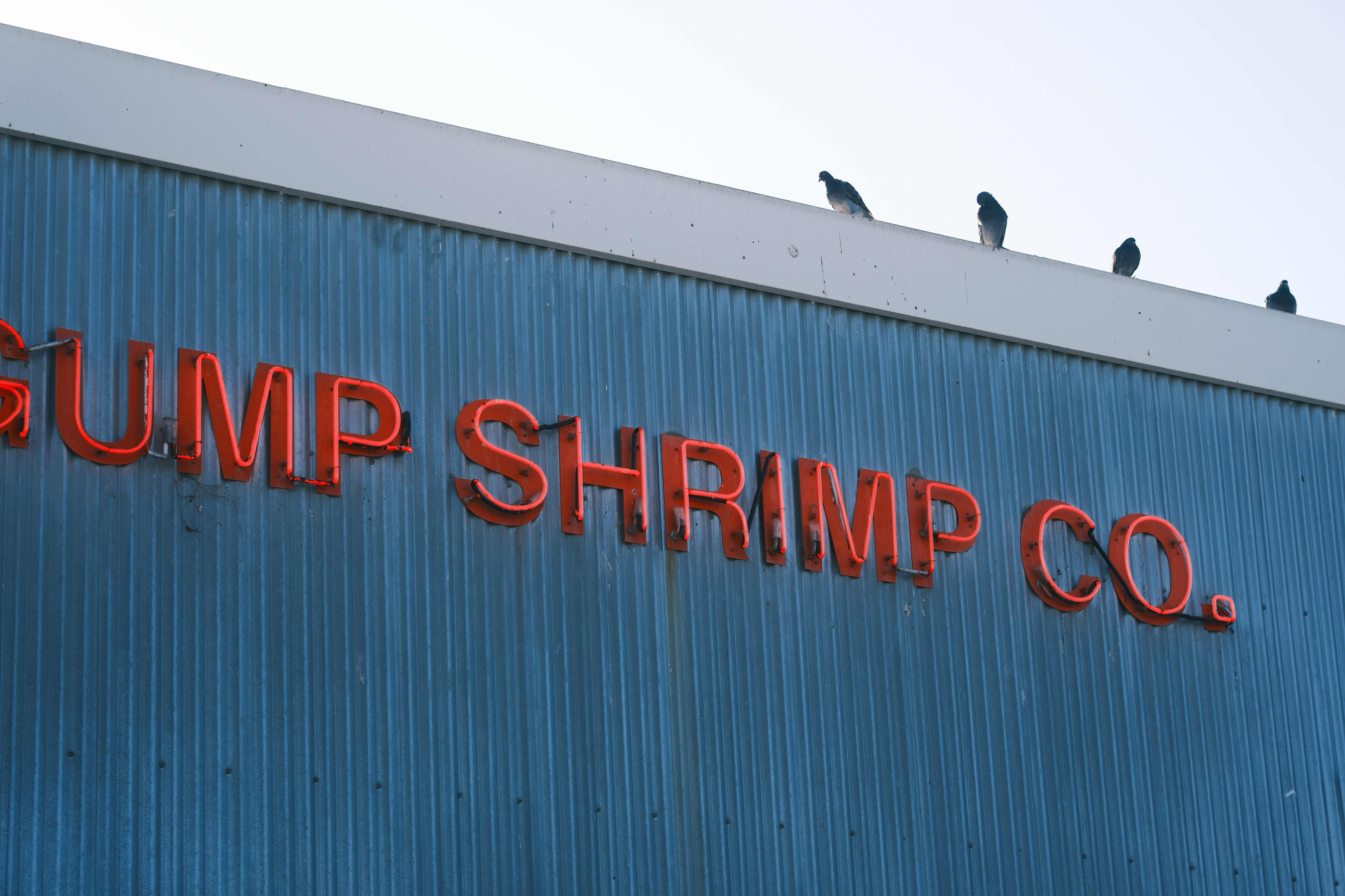 Rusted Red Emblem Over Blue Corrugation