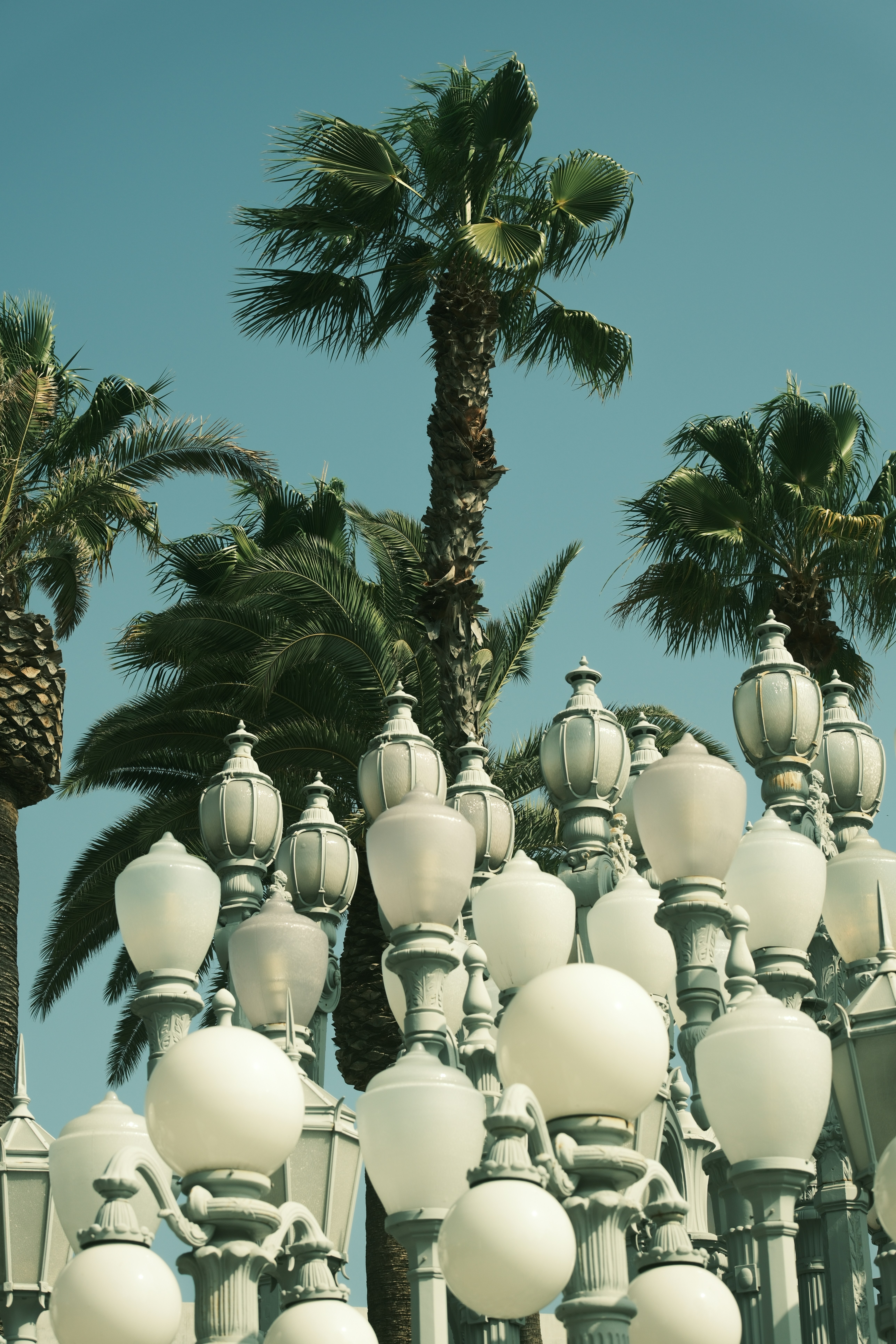 Palm Shadows and Vintage Lanterns Under a Teal Sky