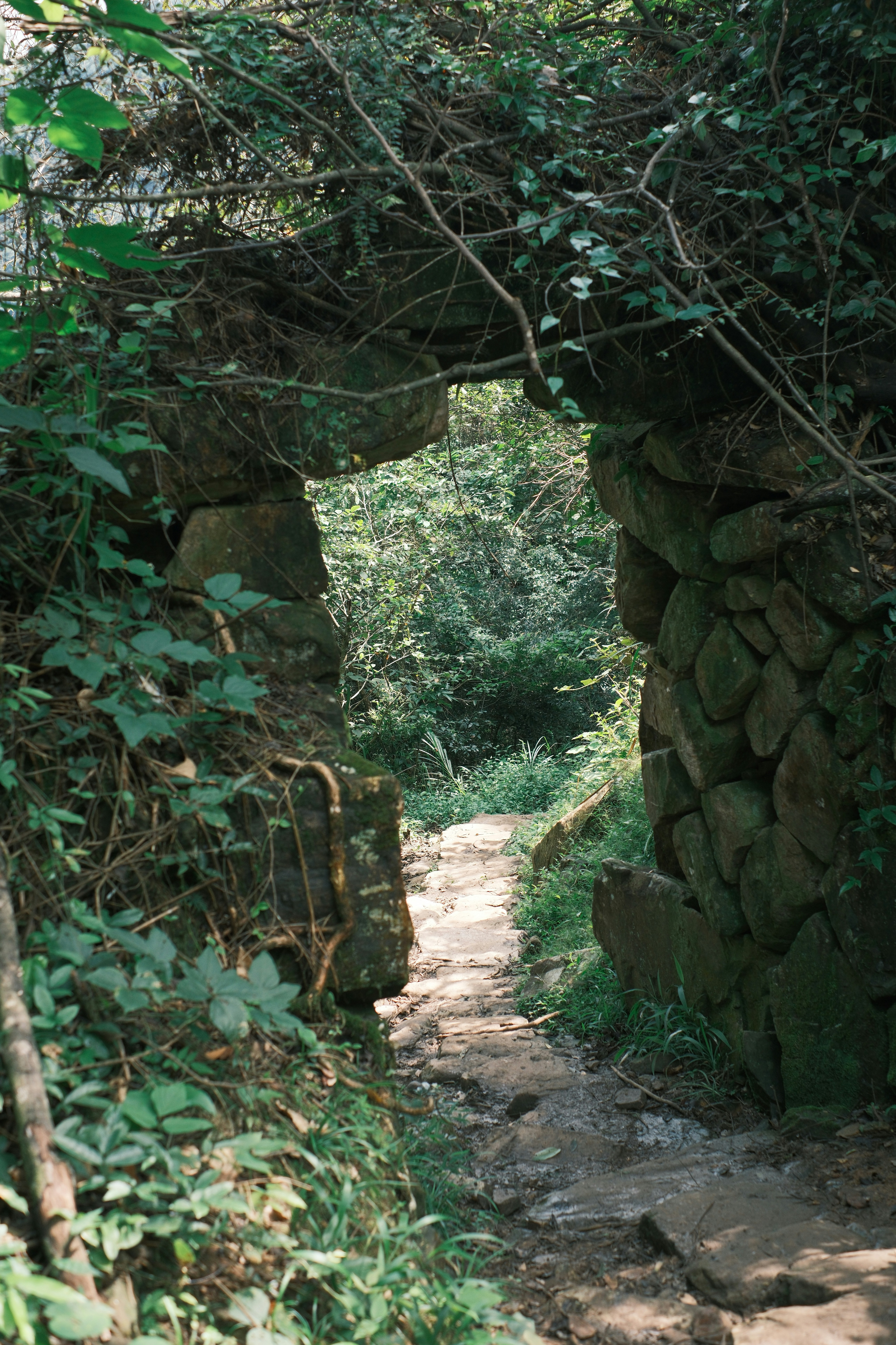 Stone Gateway Overgrown with Greenery Opens to a Sunlit Path