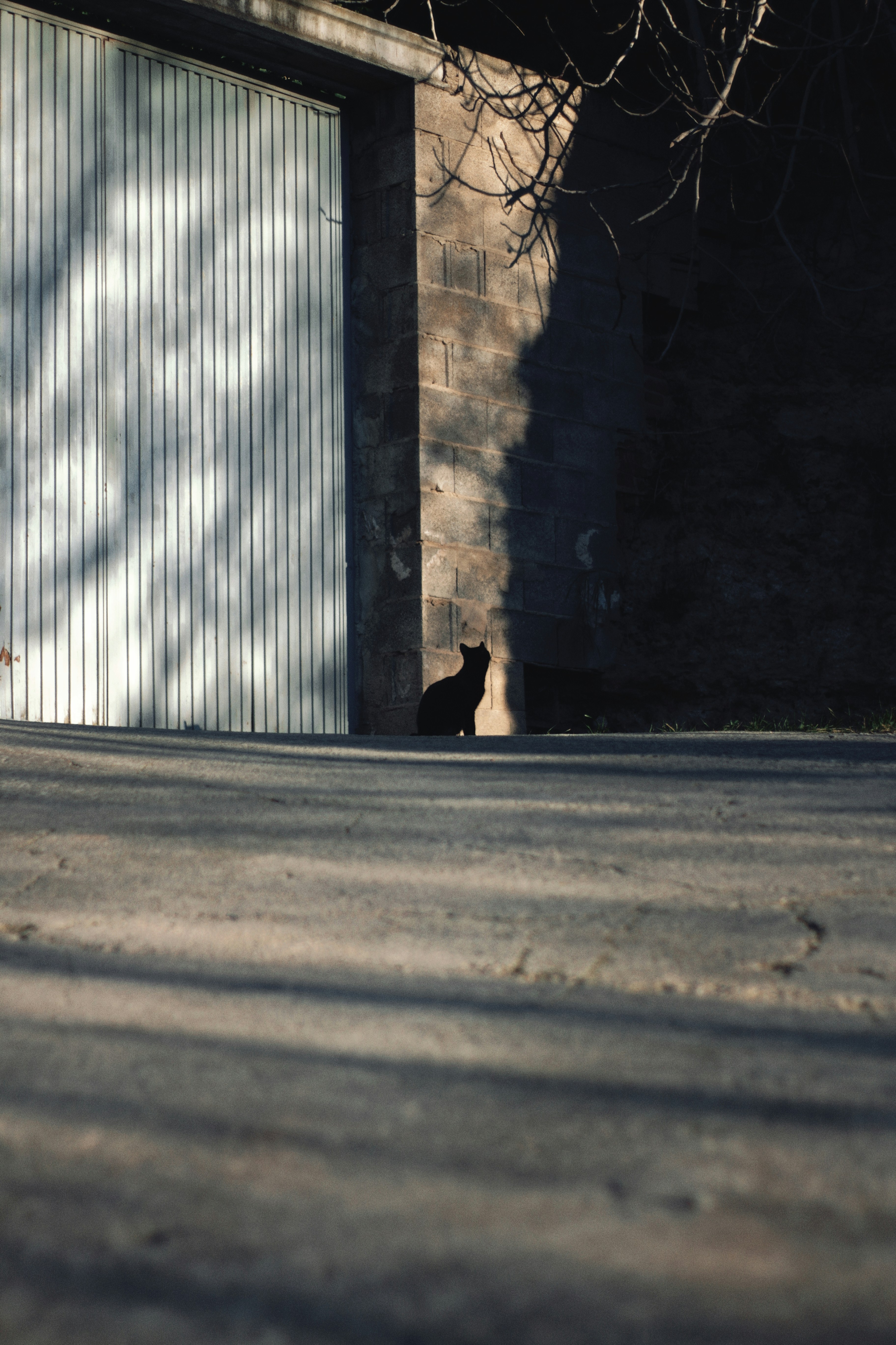Shadowed Watcher by the Garage Door