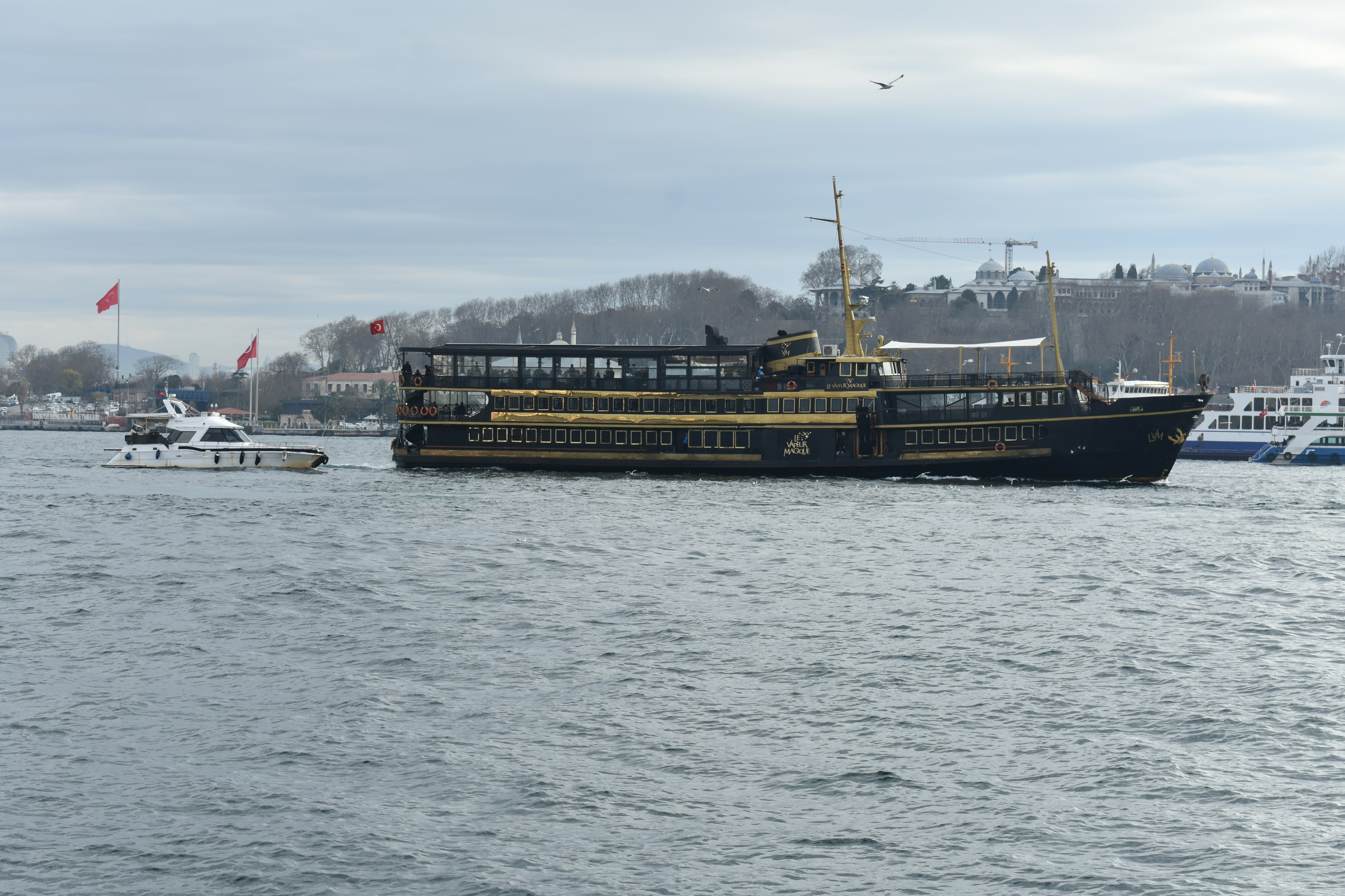 Black-and-gold river steamer crossing a calm harbor