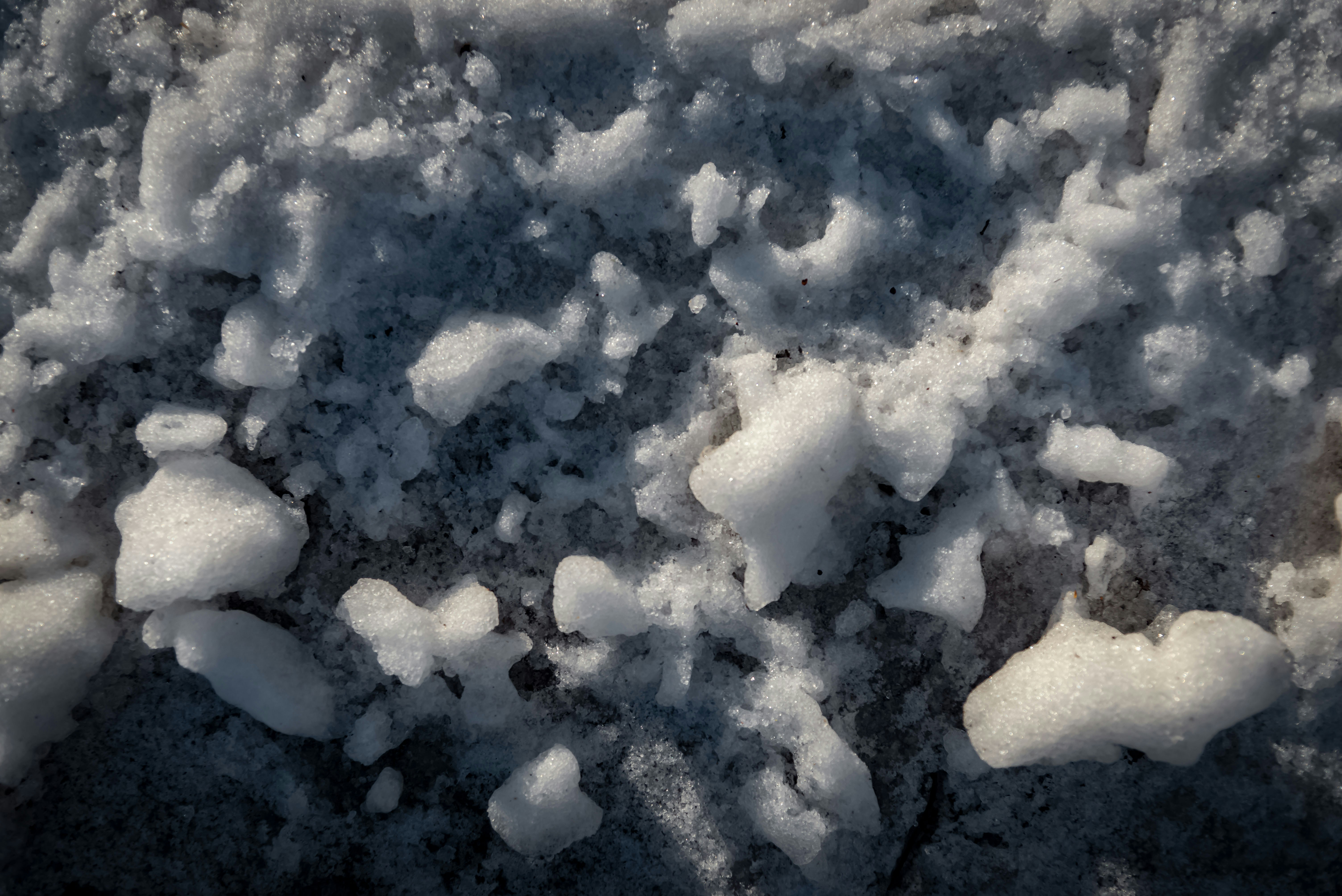 Close-up of melting snow and ice chunks photo – Free Texture Image on ...