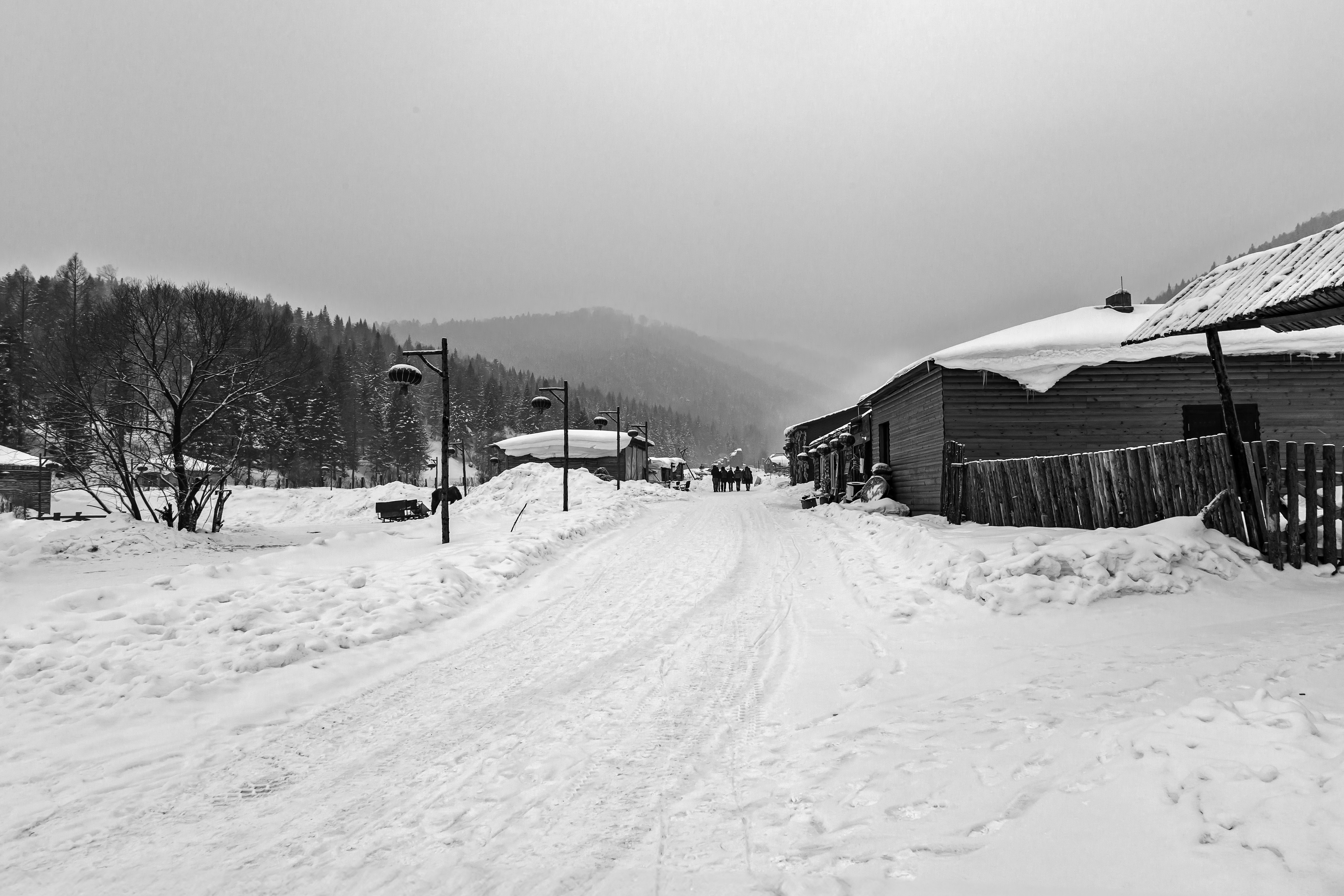 Snowbound Street: A Quiet Village Corridor Under Soft Light