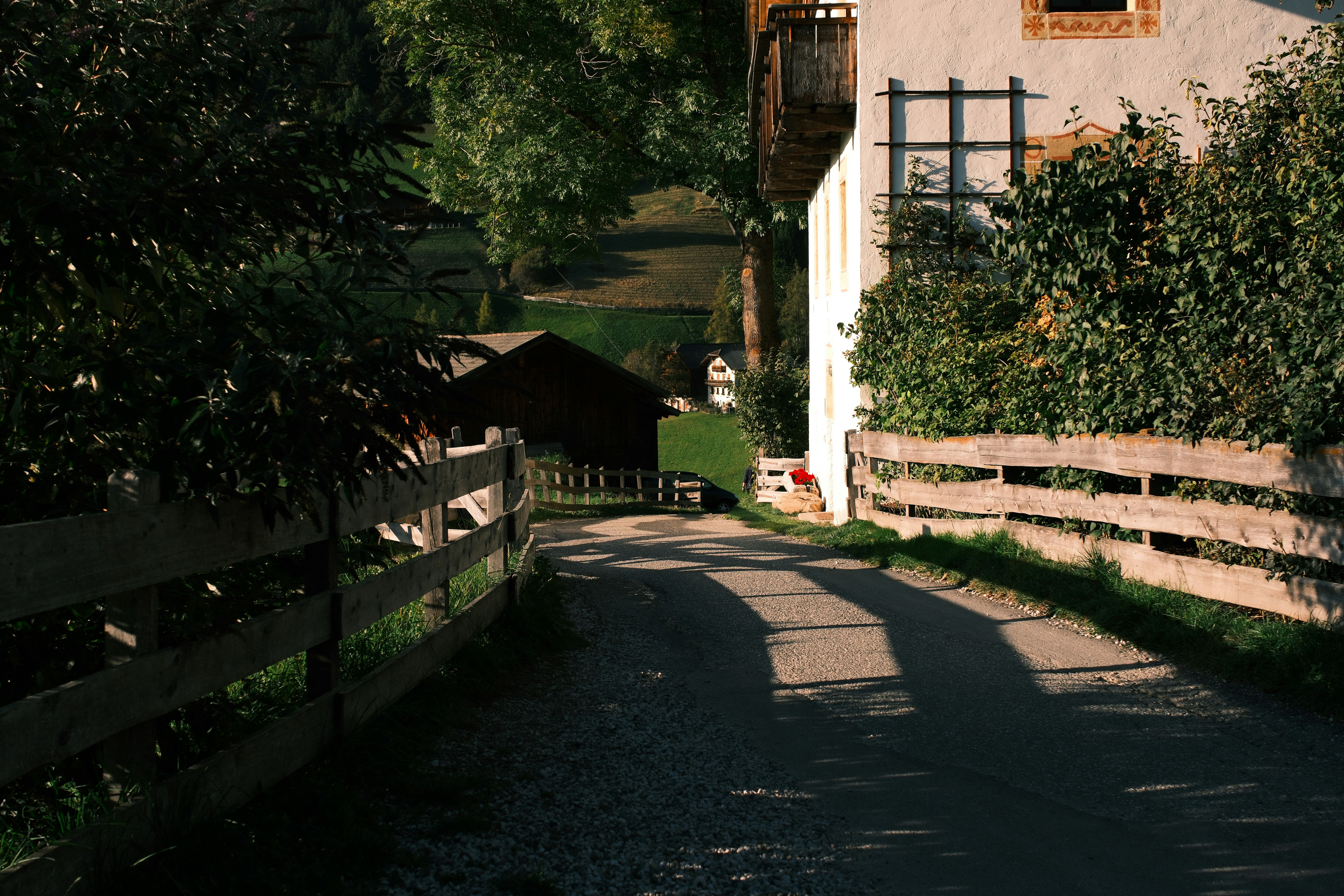 Sunlit Farm Road: A Quiet Ascent Through the Rustic Drive