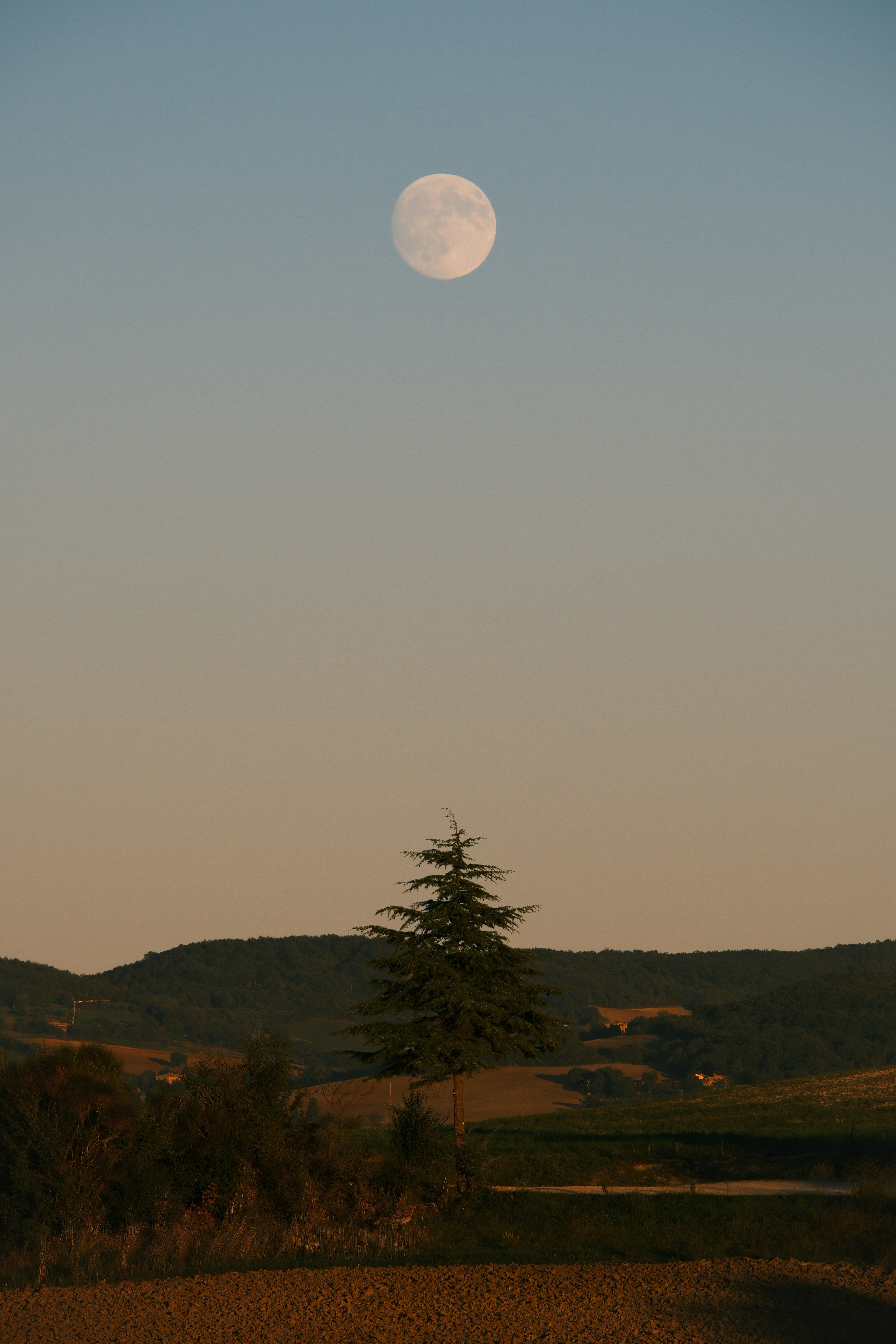 Moon Over a Quiet Horizon