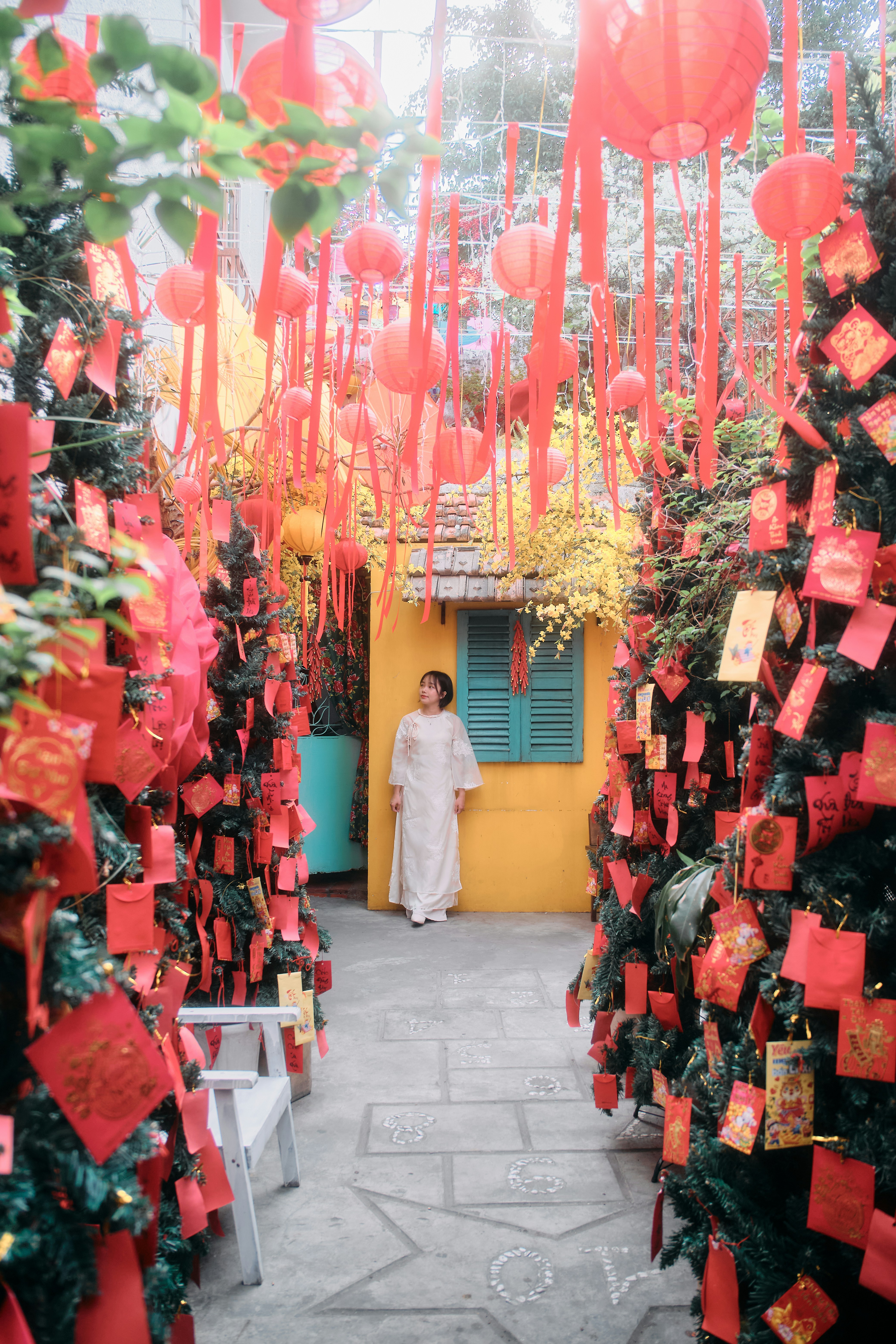 Lanterns in Red: A Quiet Walk Through a Lantern-Leafed Path