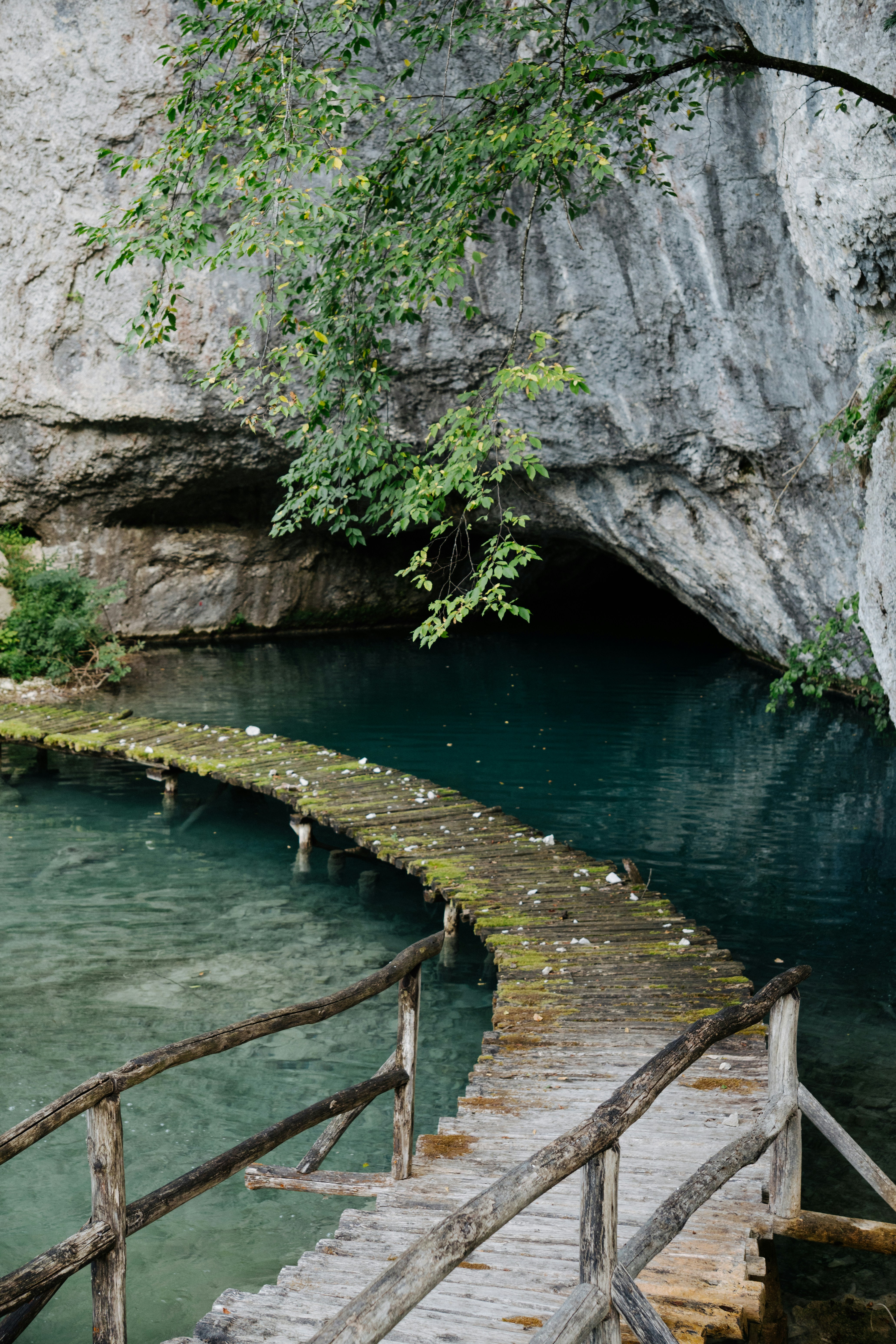 Overwater Arc: A Timber Walk into the Cavern