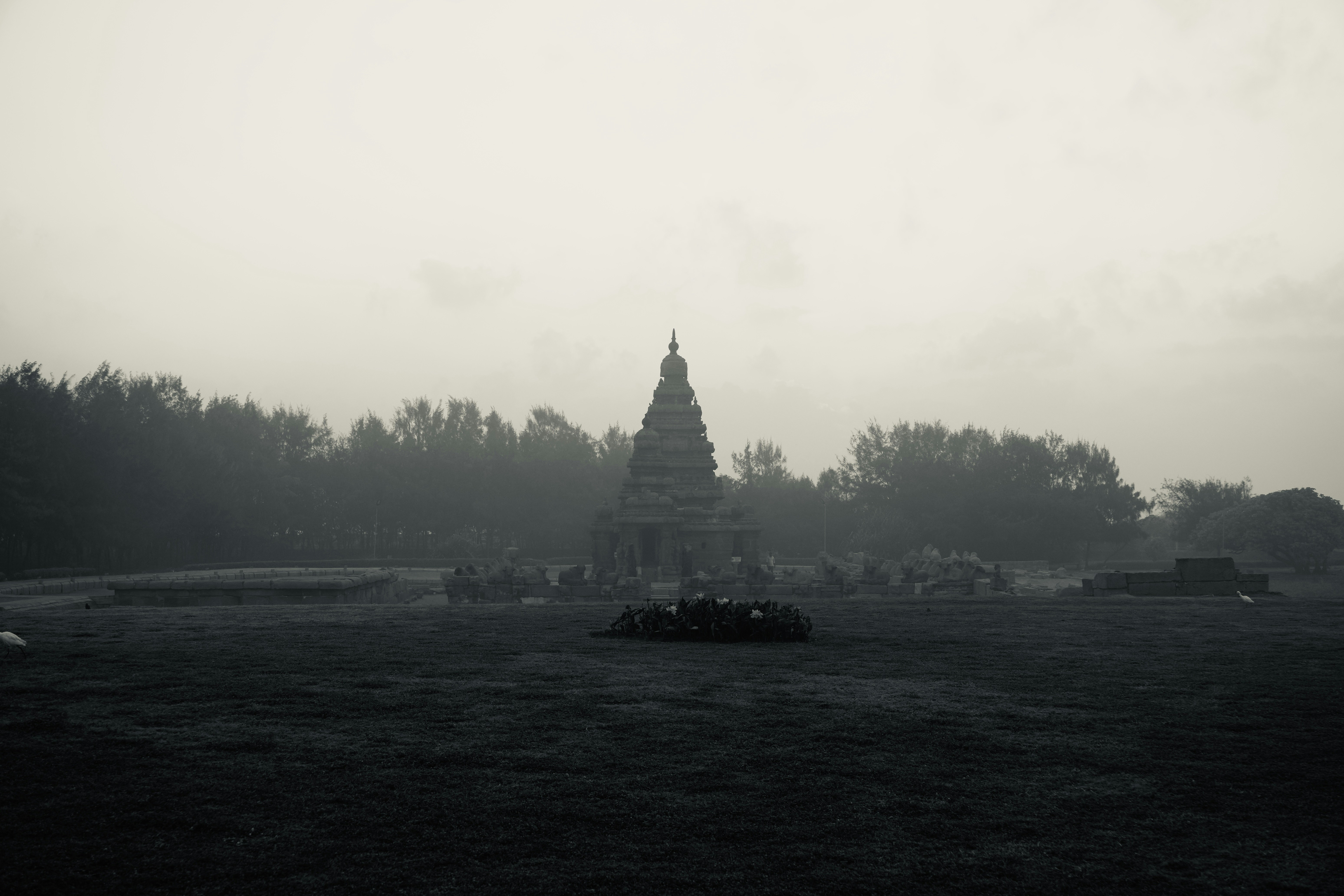Silhouetted Stupa in Mist: A Quiet Dawn at the Ancient Complex