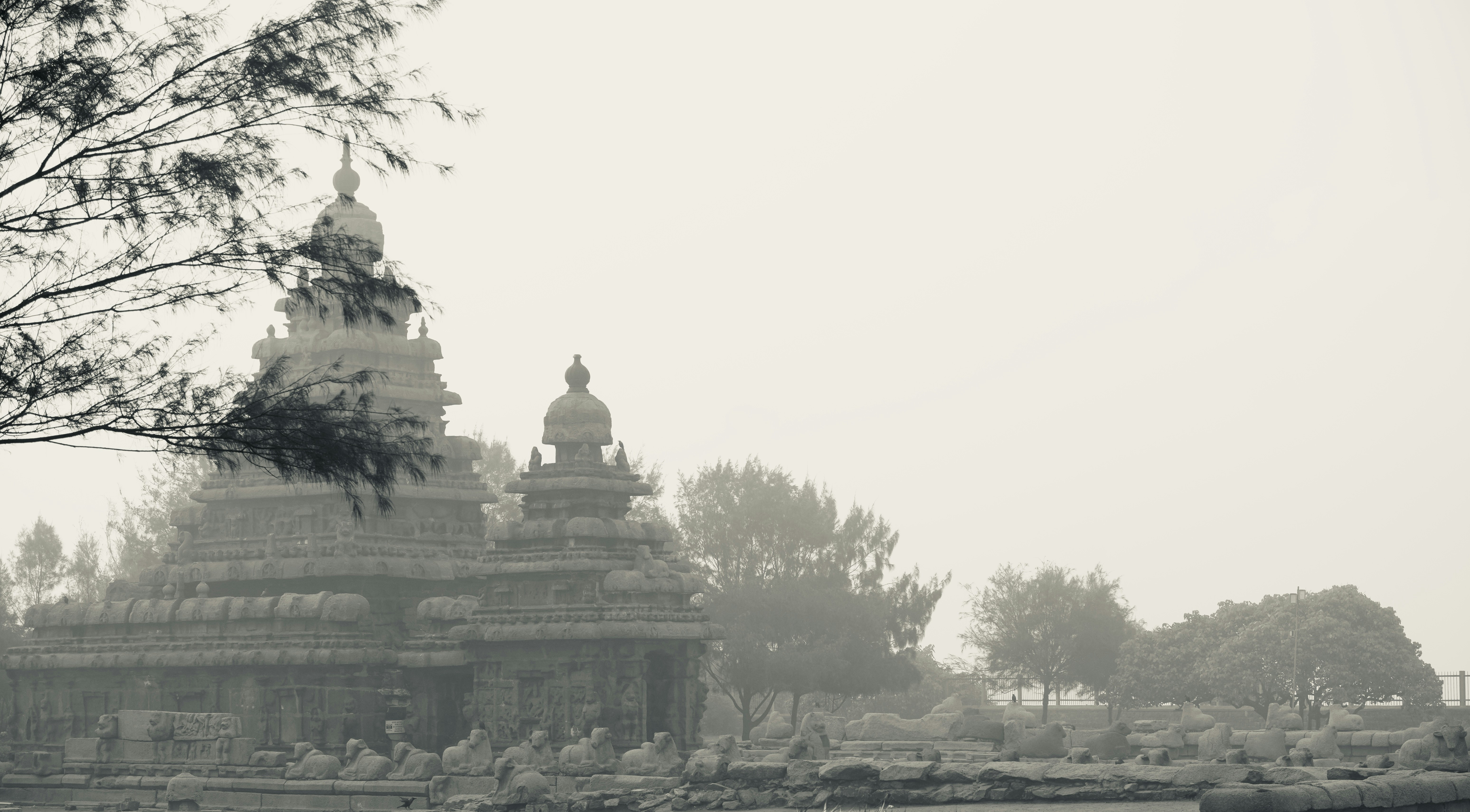 Ghostly Guardians of the Ancient Temple
