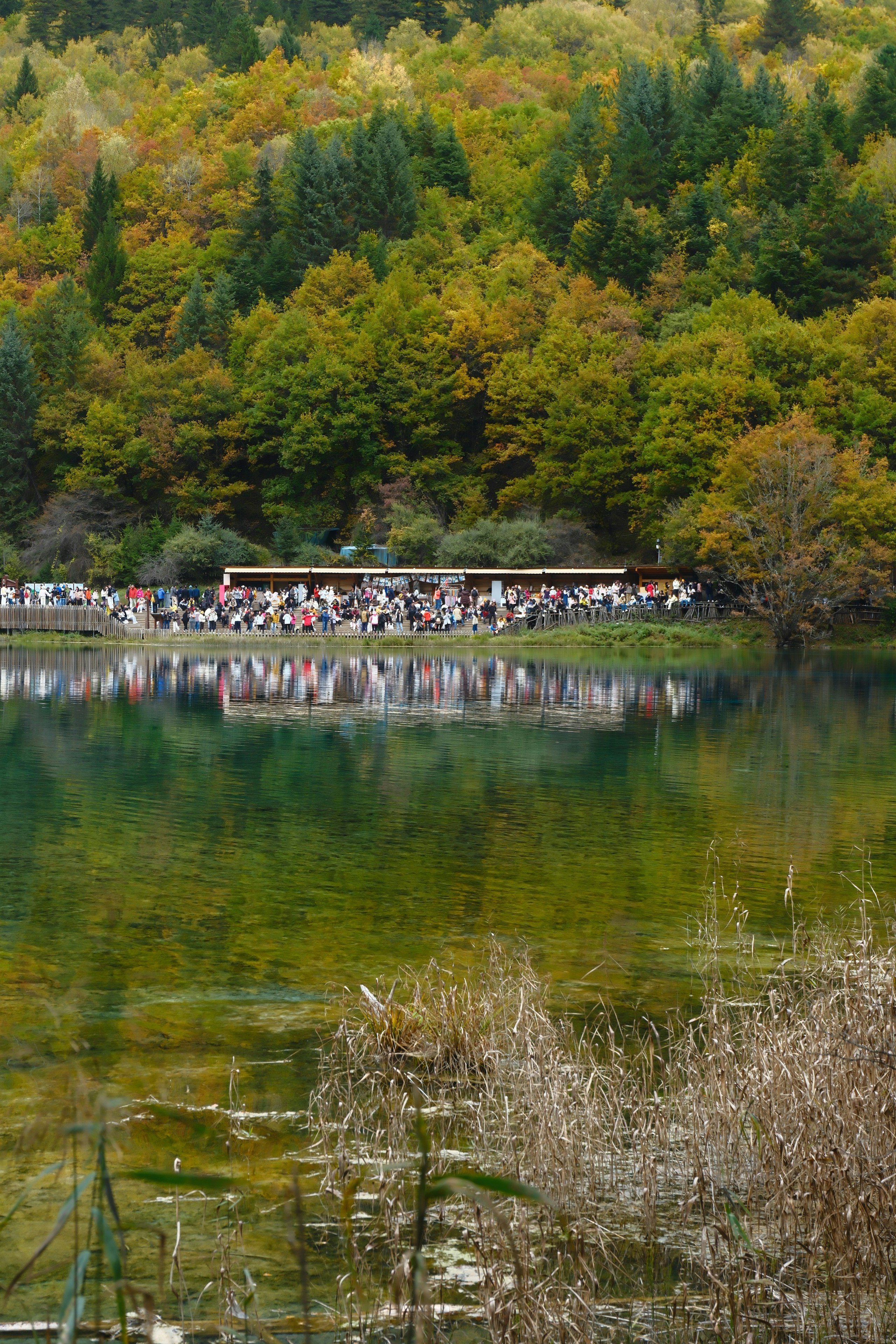 Autumn Picnic by the Quiet Lake