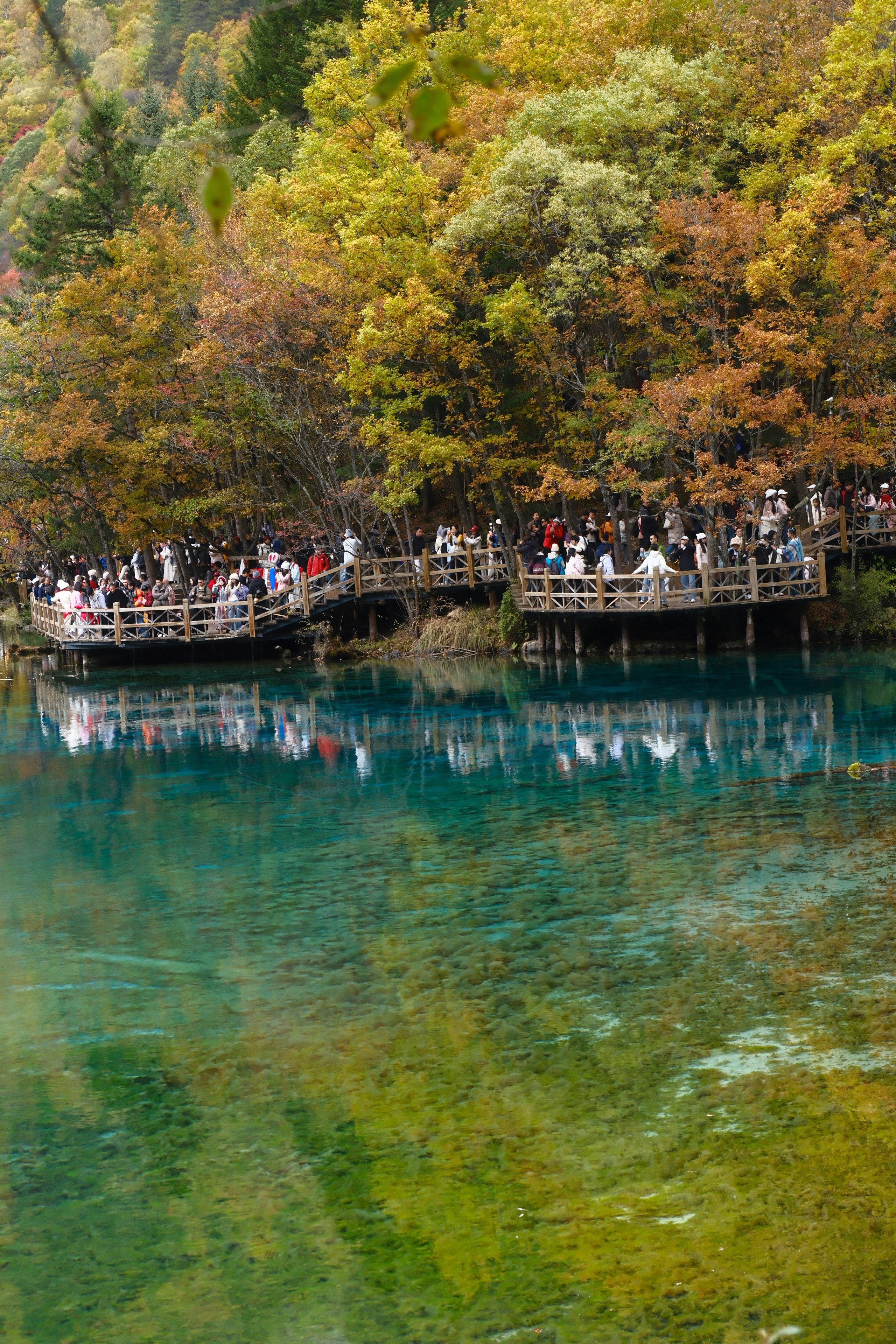 Autumn Boardwalk Over Turquoise Waters