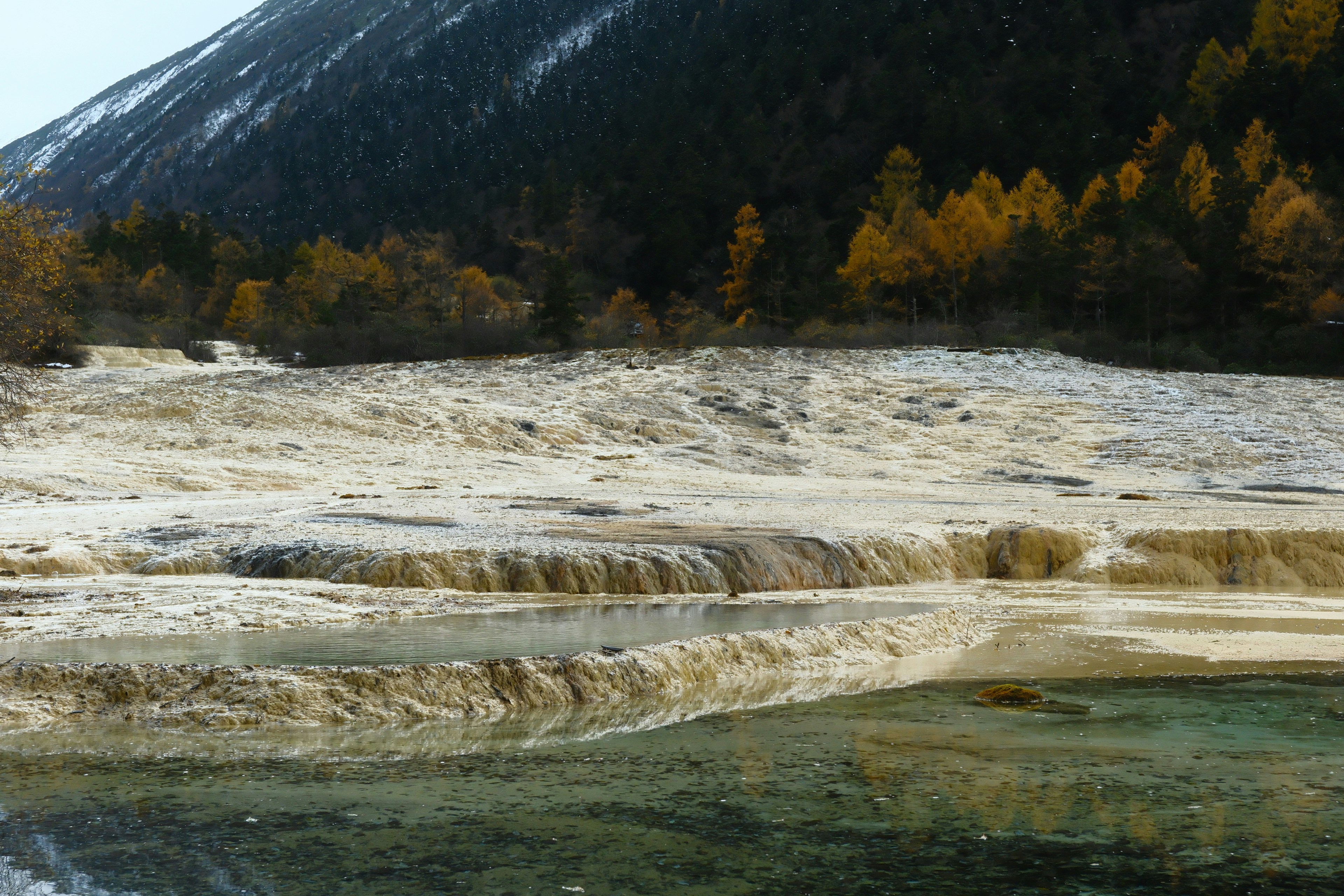 Terraced mineral pools glow under a pine-lined hillside
