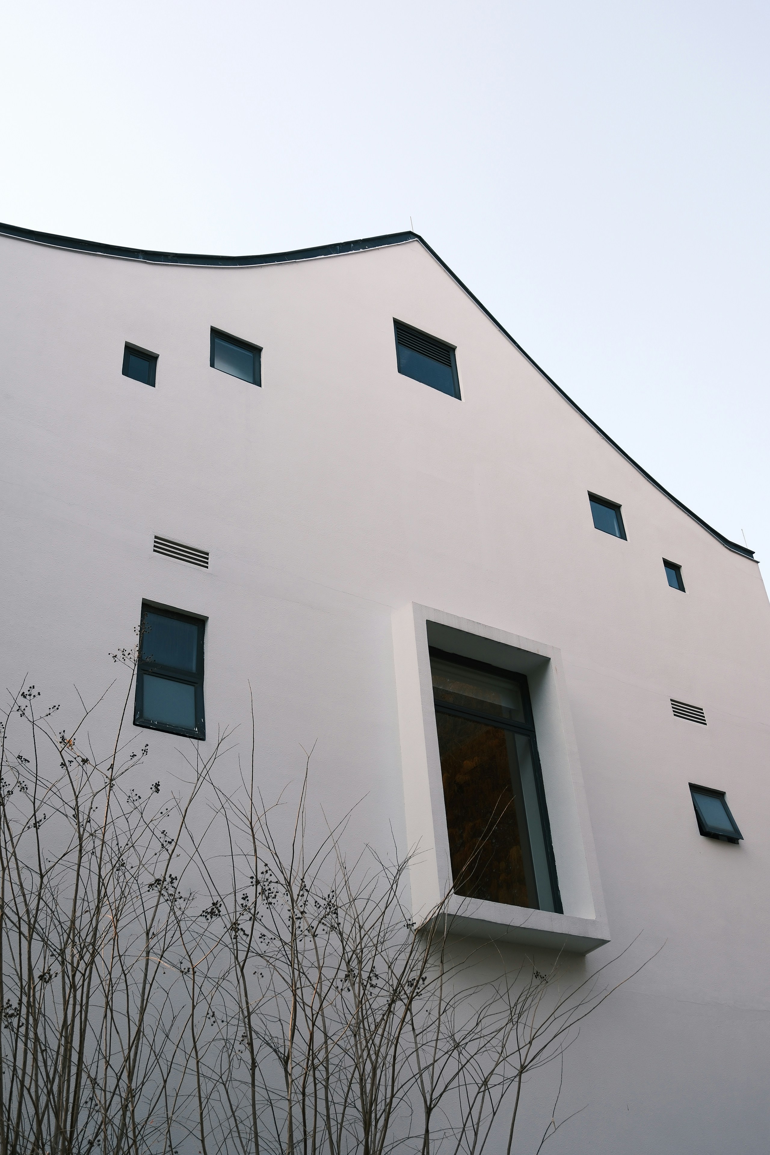 Modern white building with many windows and bare branches. photo – Free ...