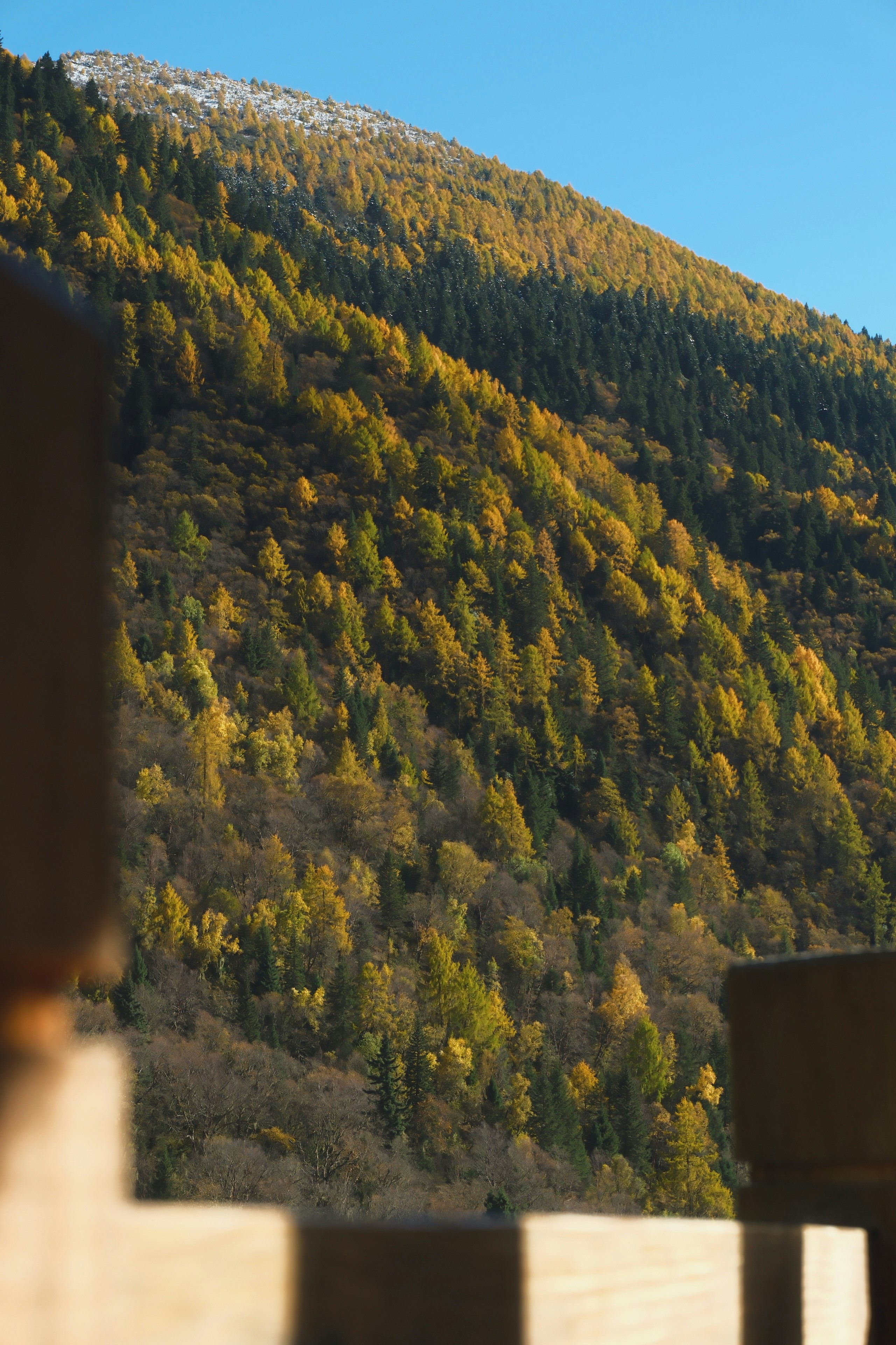 Autumn Ridge: A Quiet View Over Wooden Railings