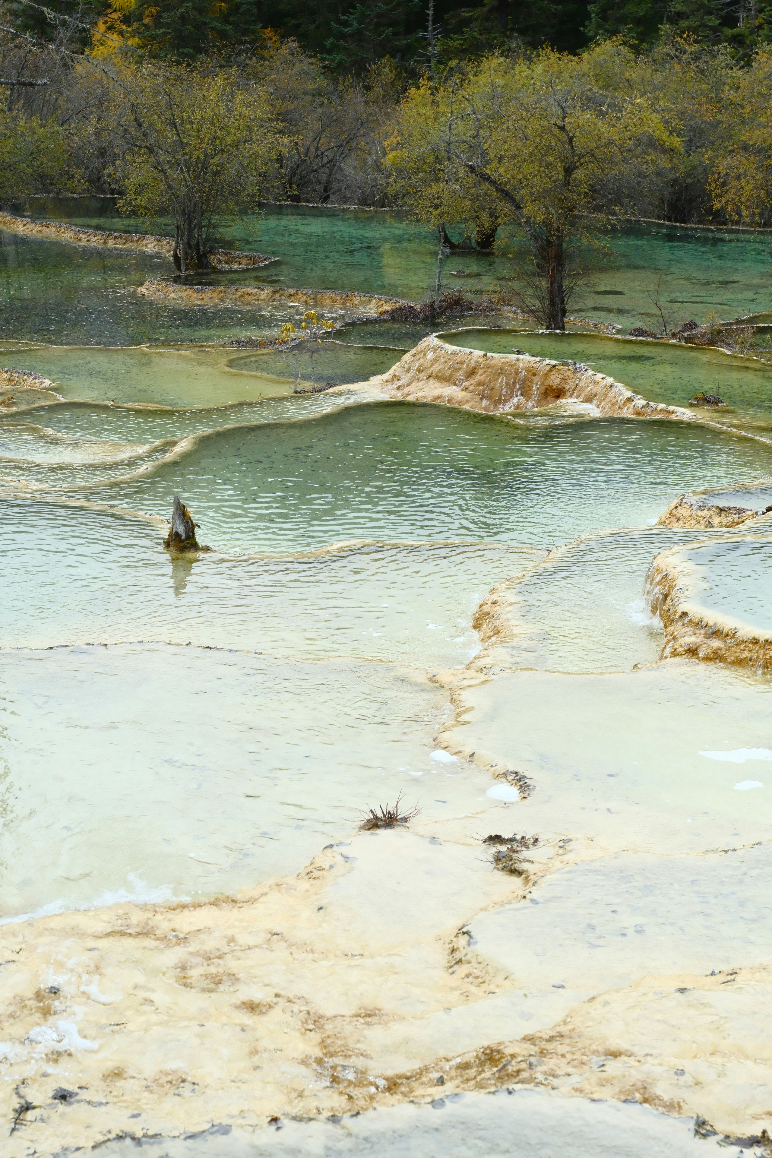 Terraced mineral pools under autumn trees along turquoise waters