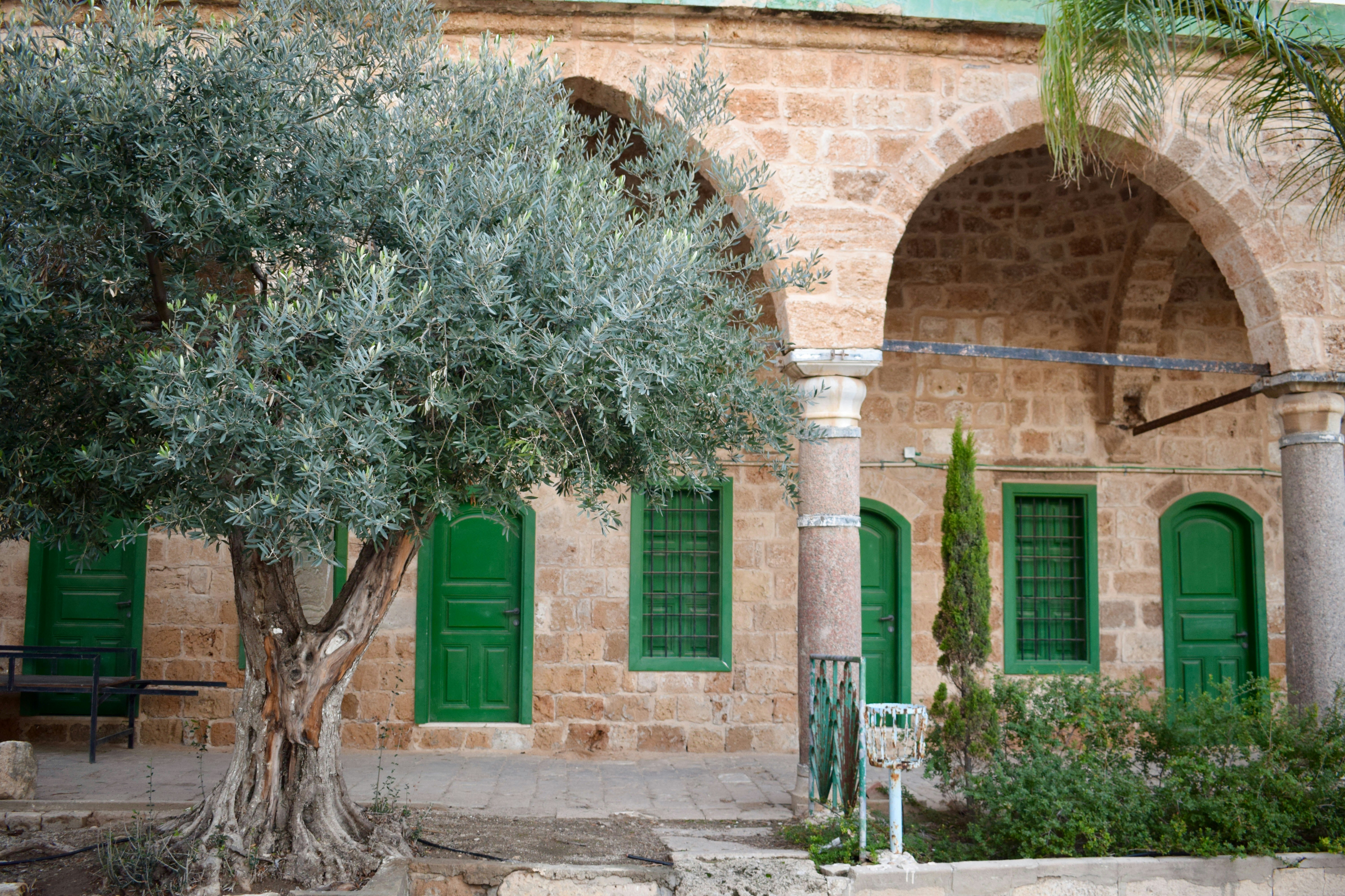 Fr. Daniel Ciucci (@dannyboy4125) | Comunidade de fotos da Unsplash