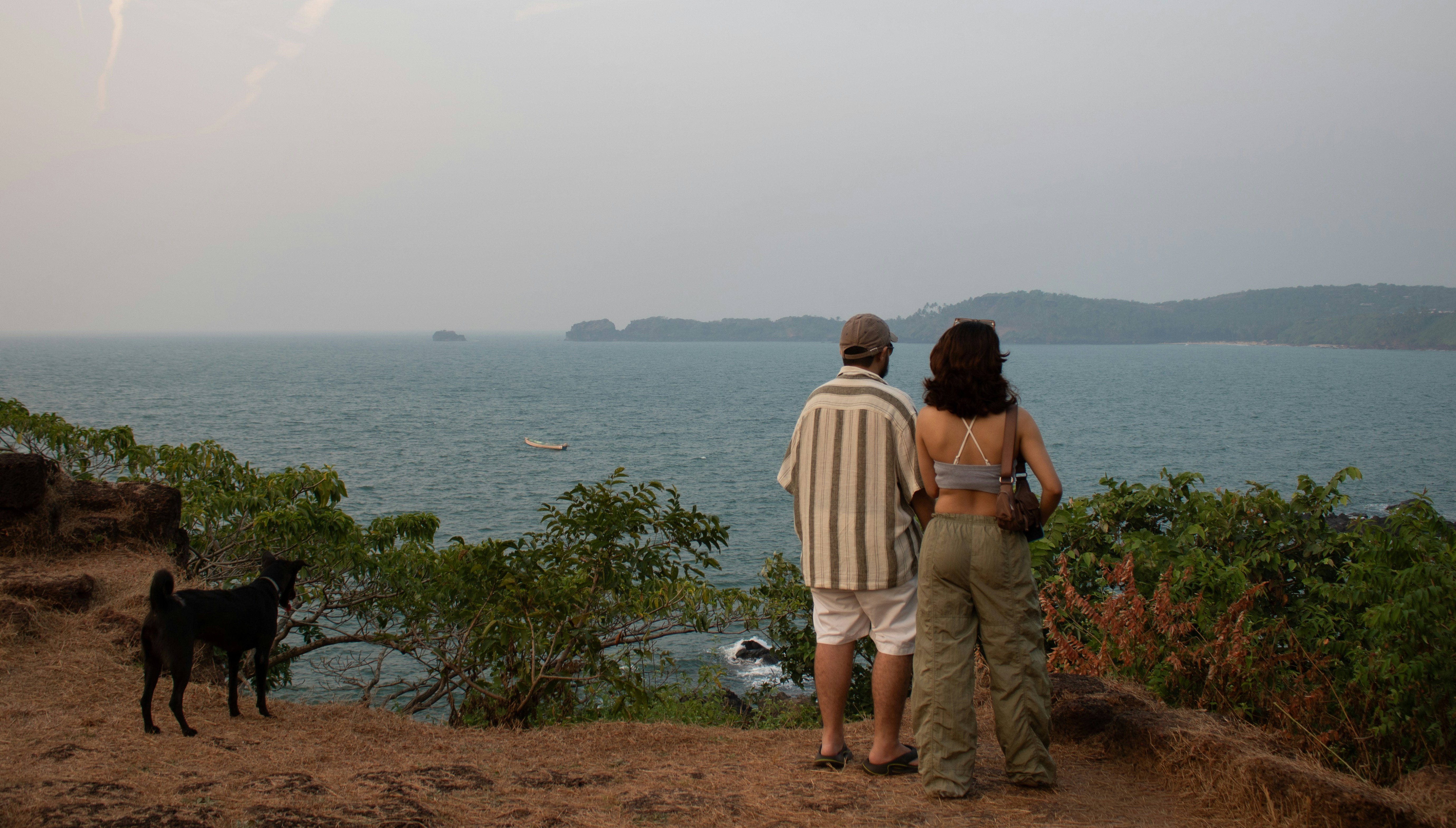 Couple on a cliffside overlook watches the sea with a dog at their side