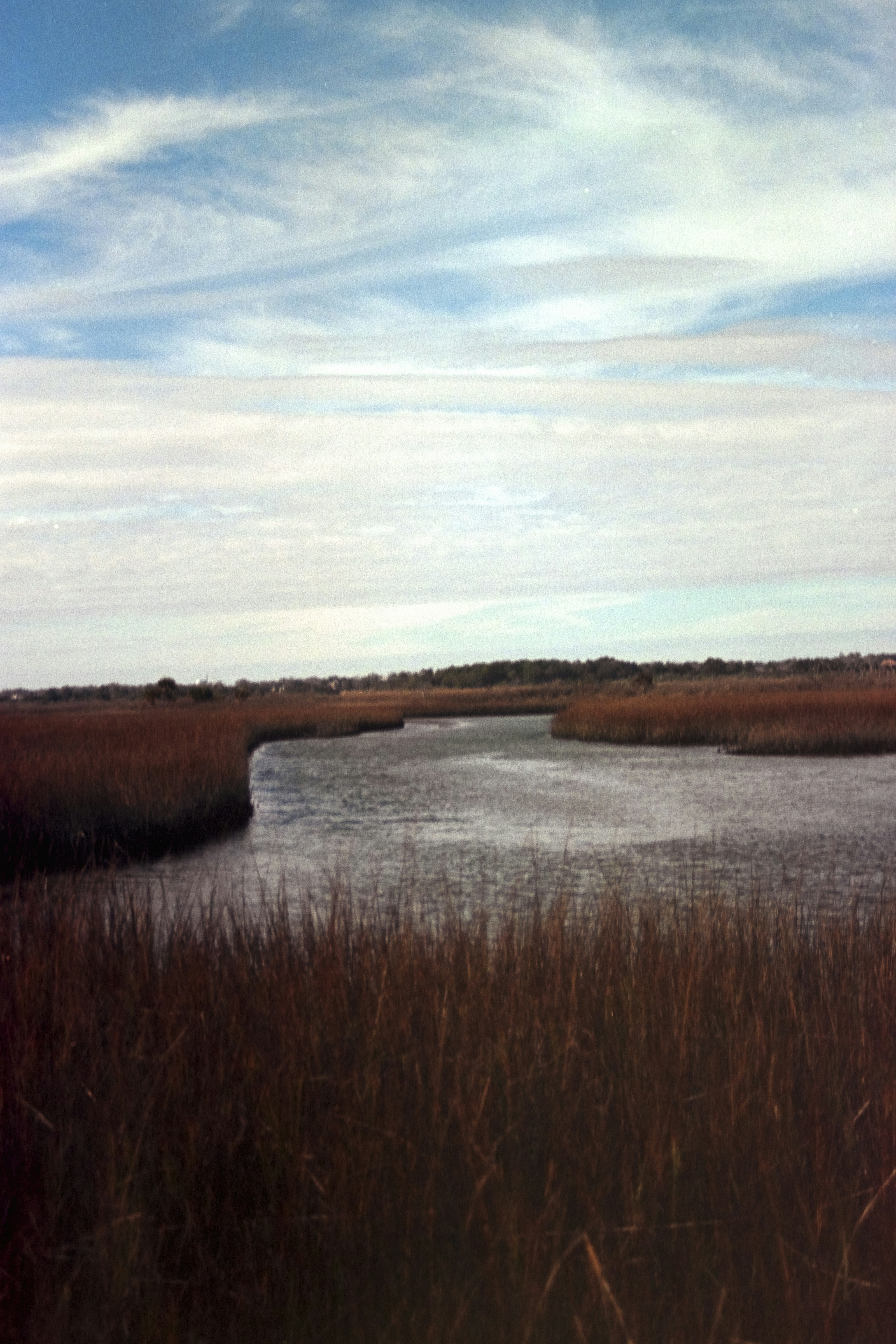 Meandering Marsh Under a Whispering Sky