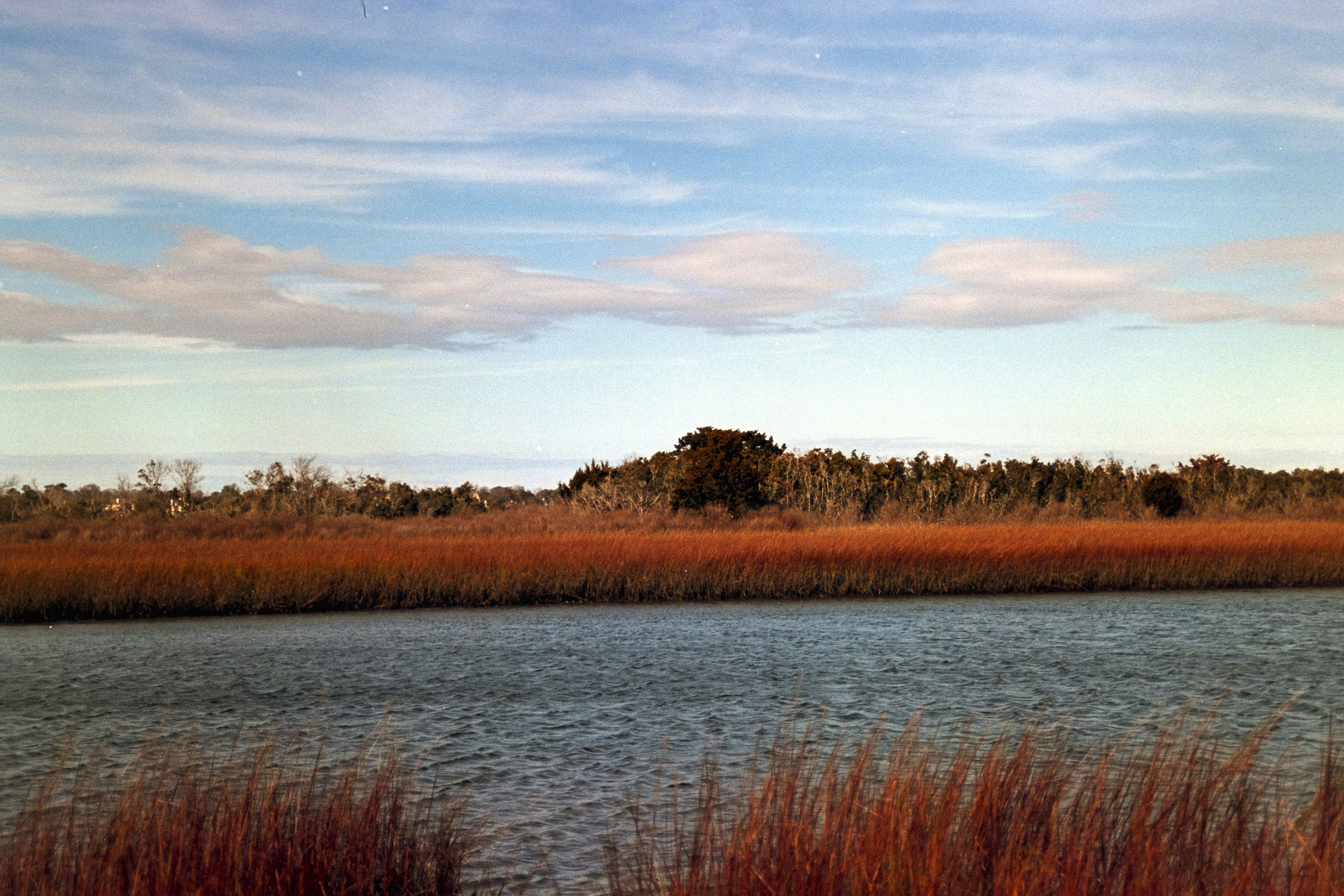 Golden Reed Flats Across a Quiet Waterway at Dawn