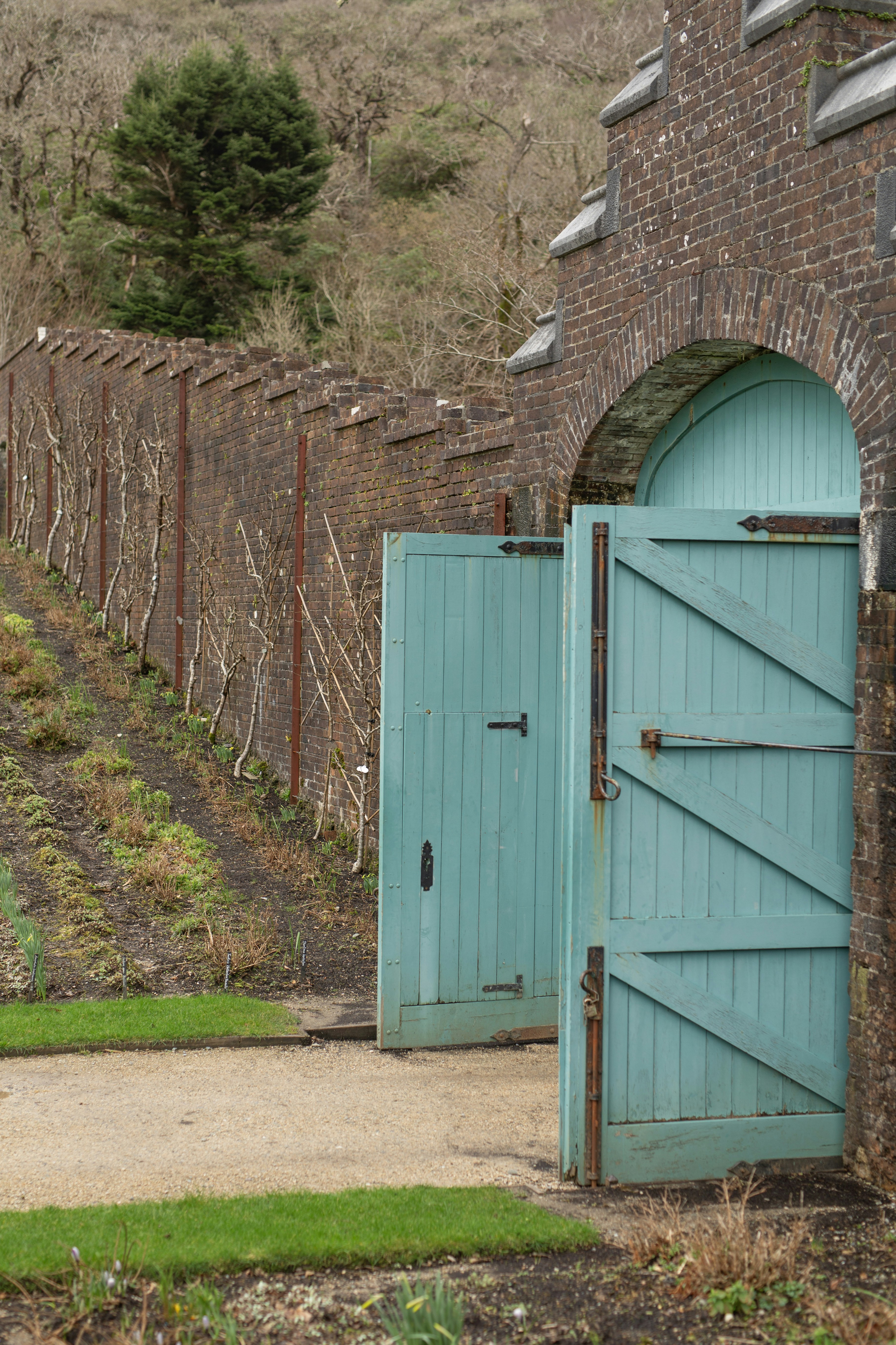 A Teal Gate Opens to a Quiet Vineyard Path