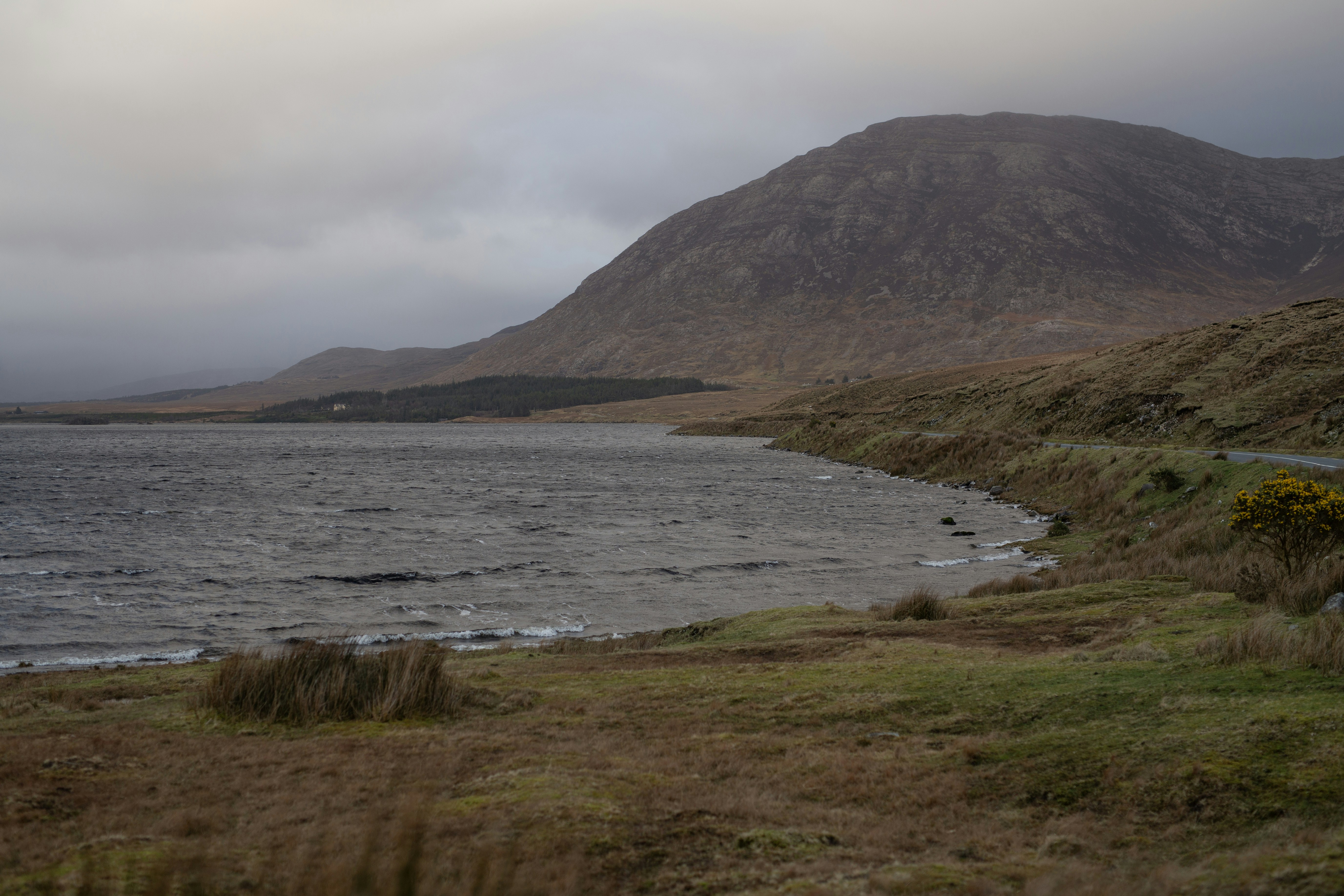 Coastal Moorland Beneath a Quiet Summit