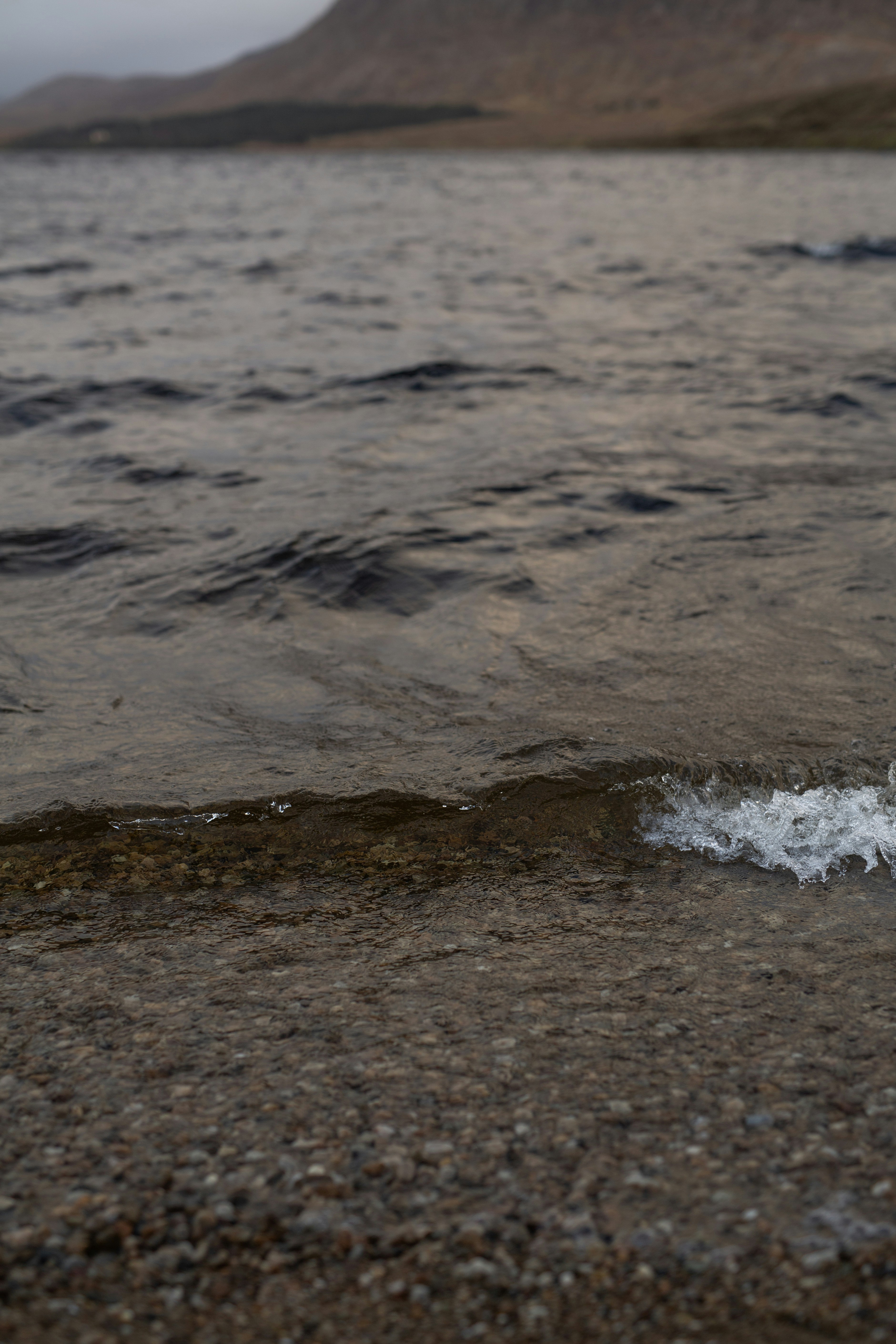 Calm Shoreline at Dusk with Gentle Waves