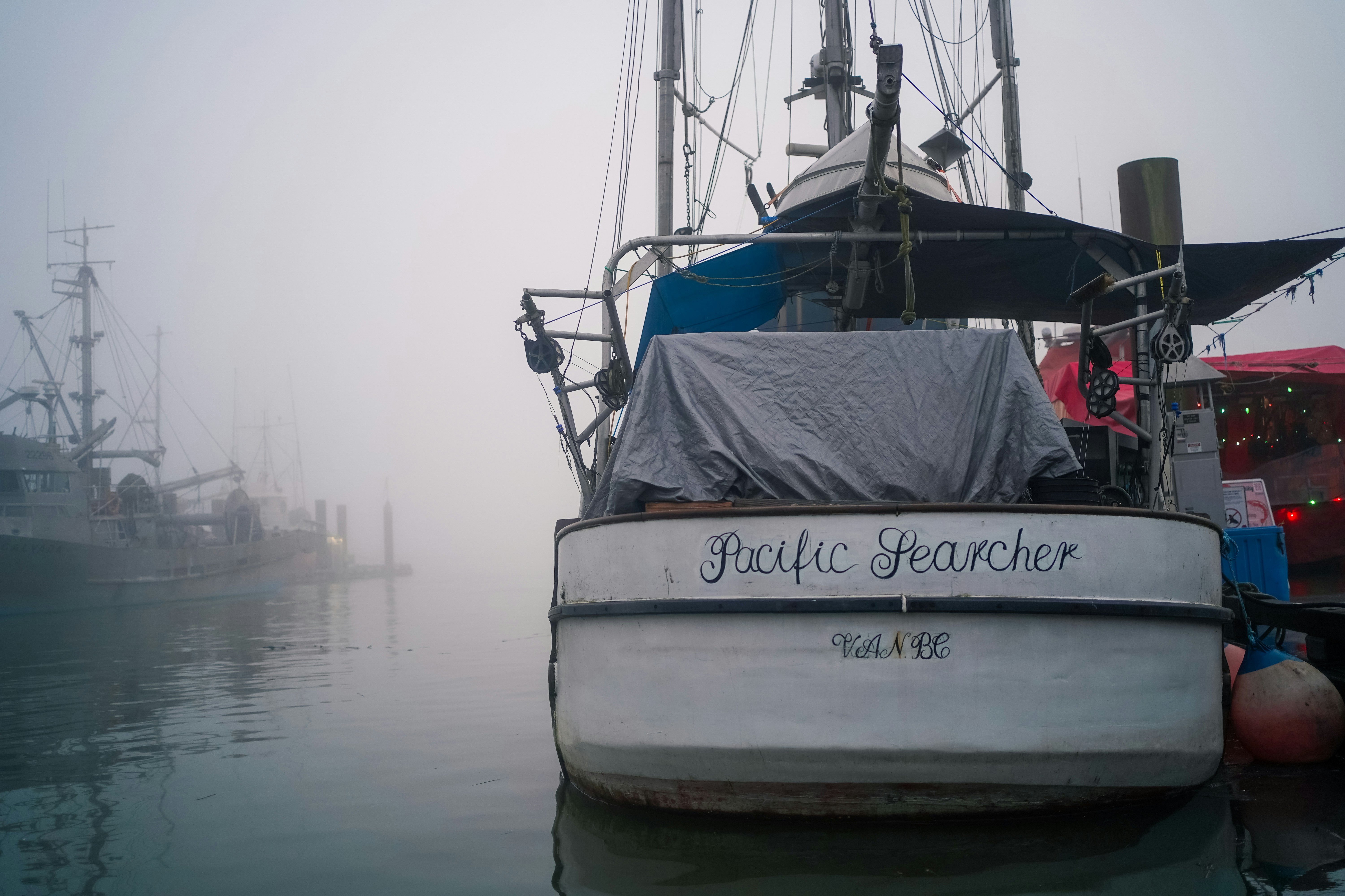 Misted Harbor: The Pacified Wake of Pacific Searcher
