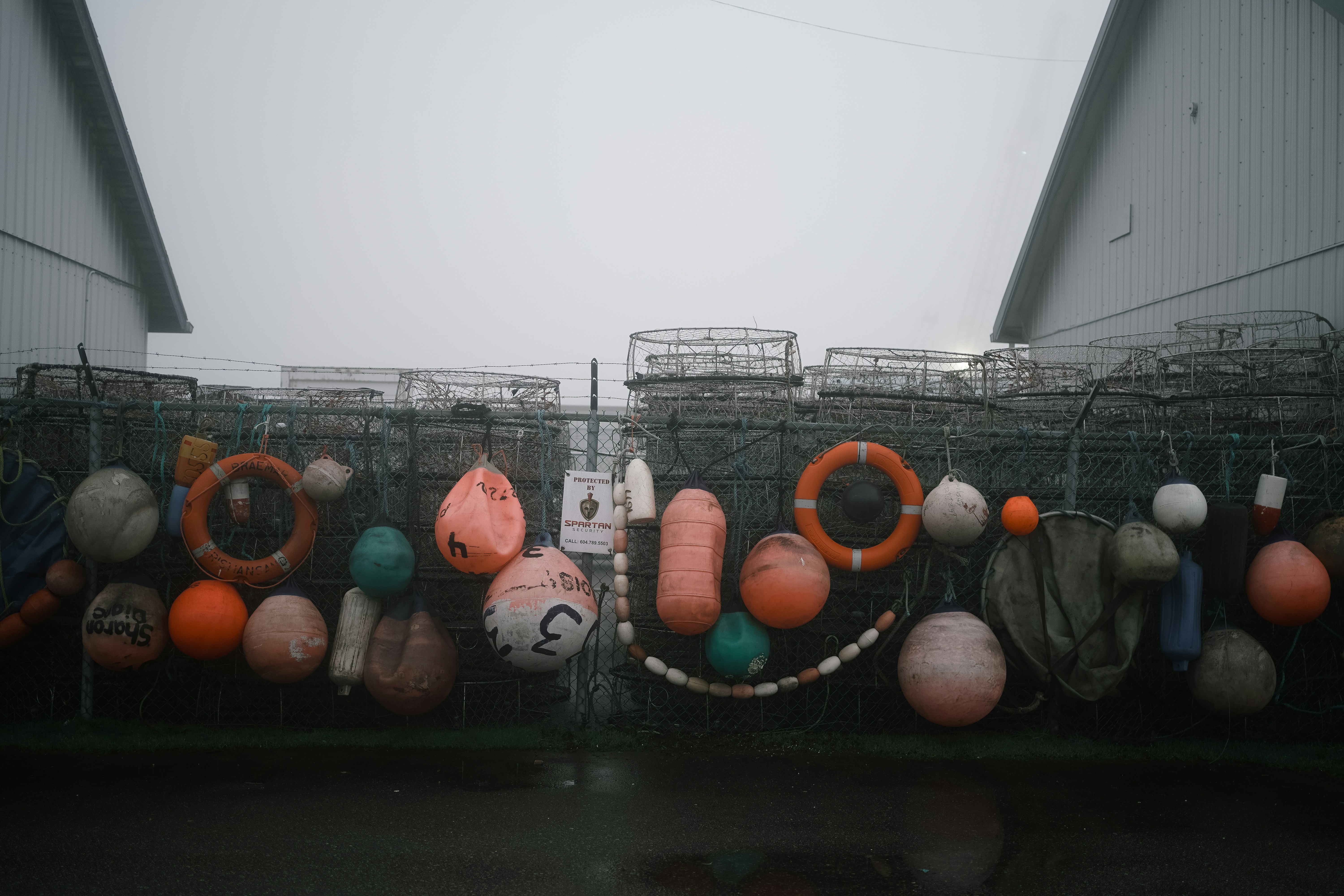 Floating Buoys and Nets at Dusk in a Harbor Channel