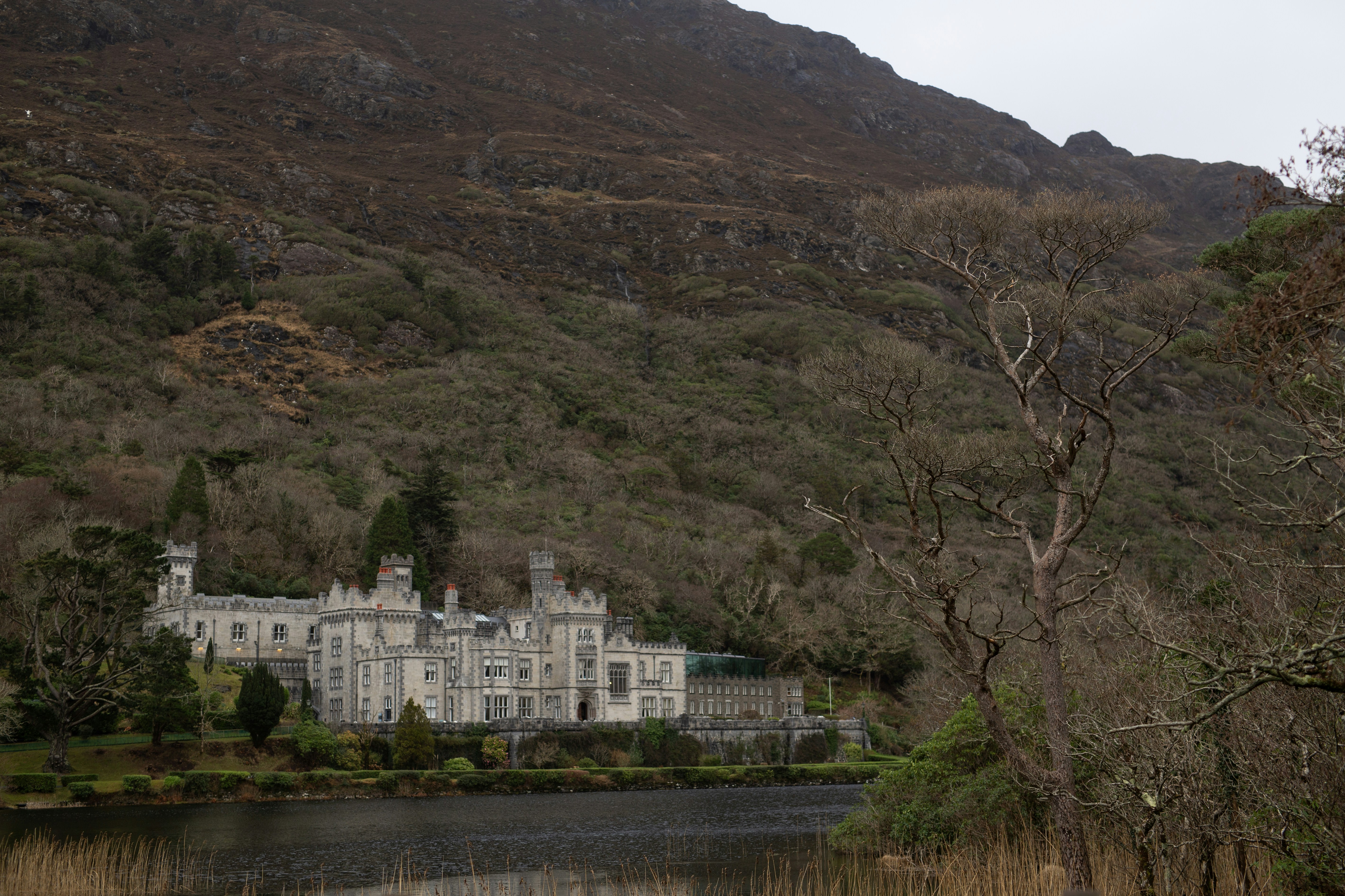 Castle by the Moor: A Weathered Estate at Riverbank