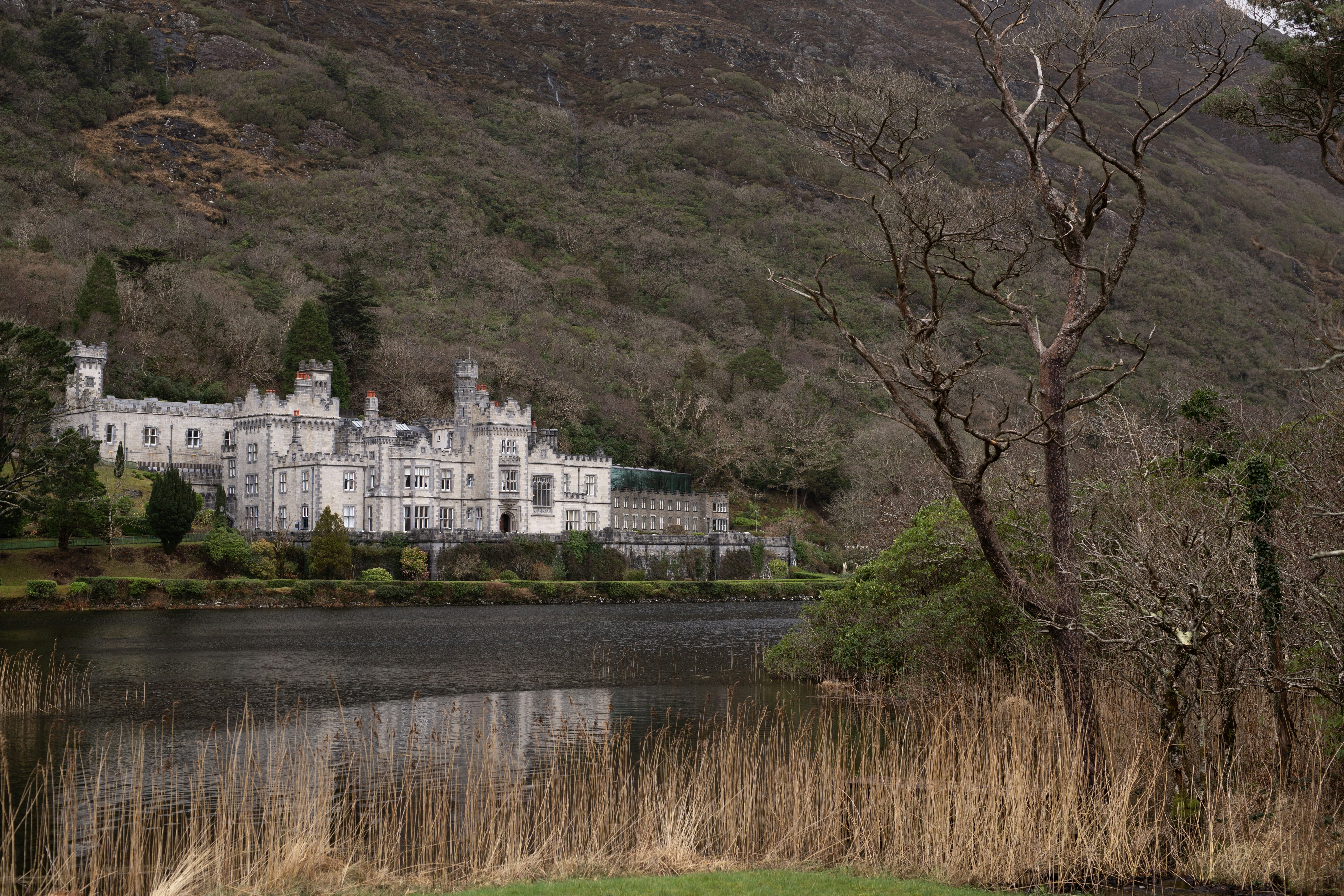 Castle by the Waterside: A secluded manor framed by grasses and bare trees