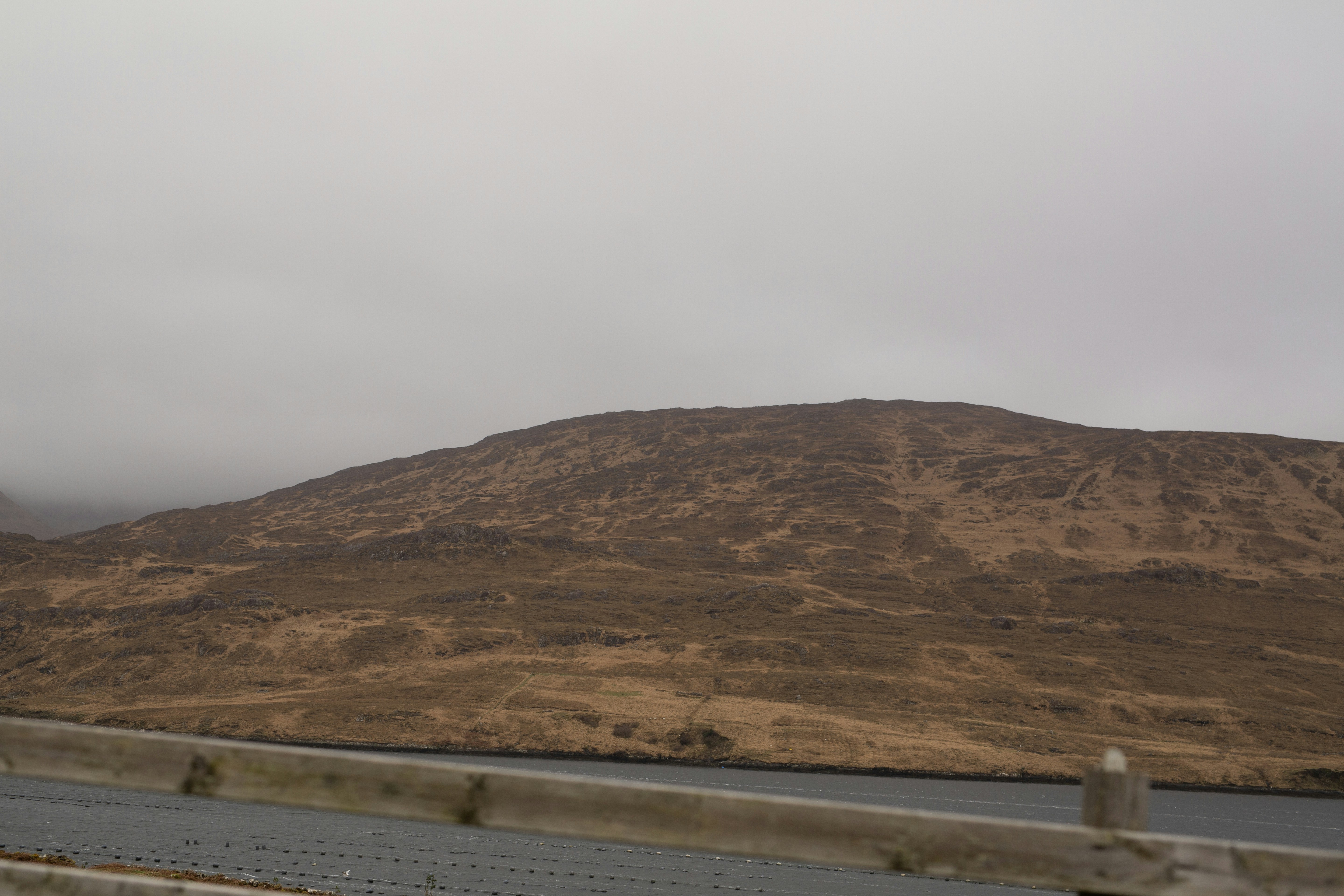Rugged Moor beneath a Grey Ceiling