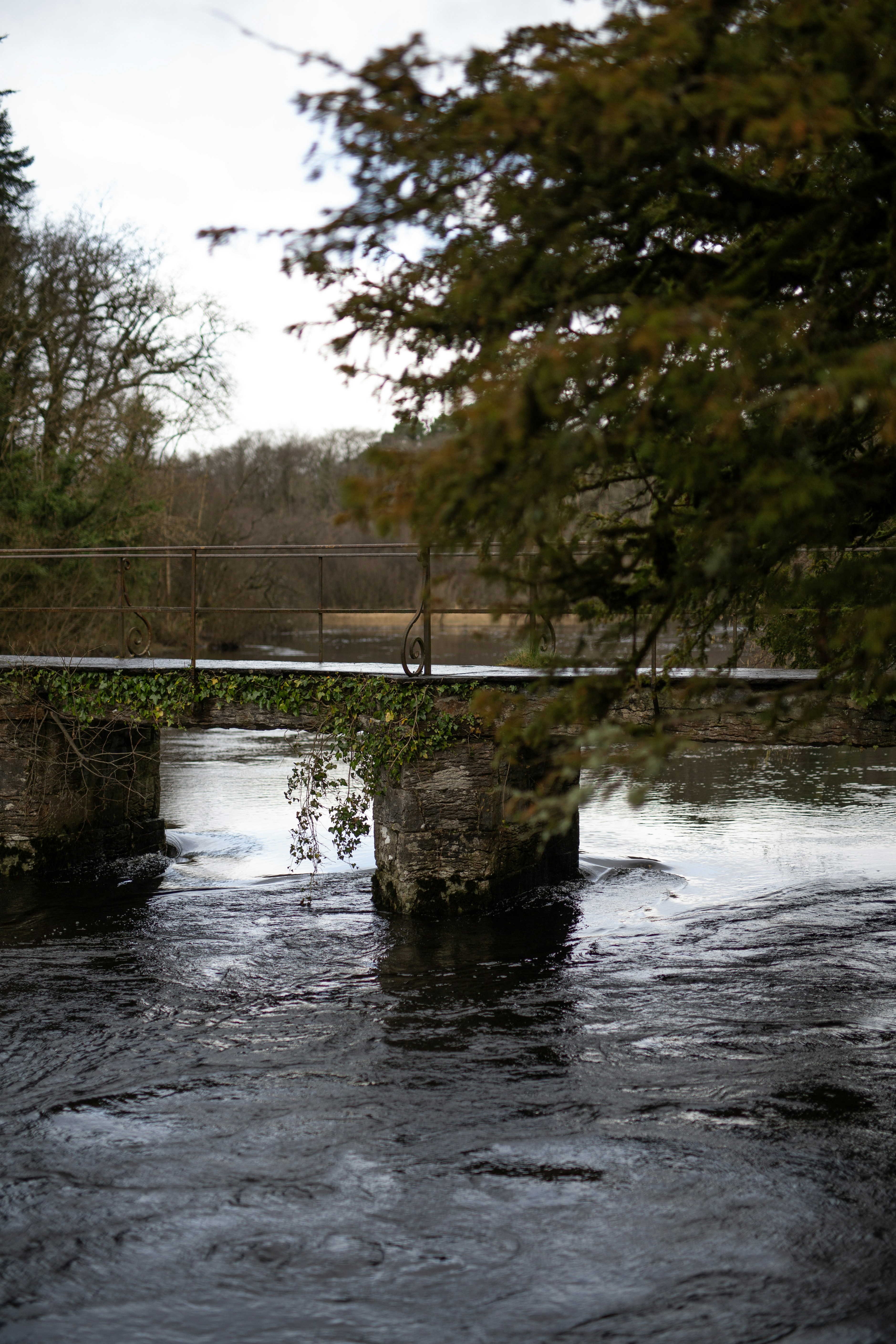 Bridge Over Quiet Currents: Ivy-Framed Stone Supports Under a Garden Bridge