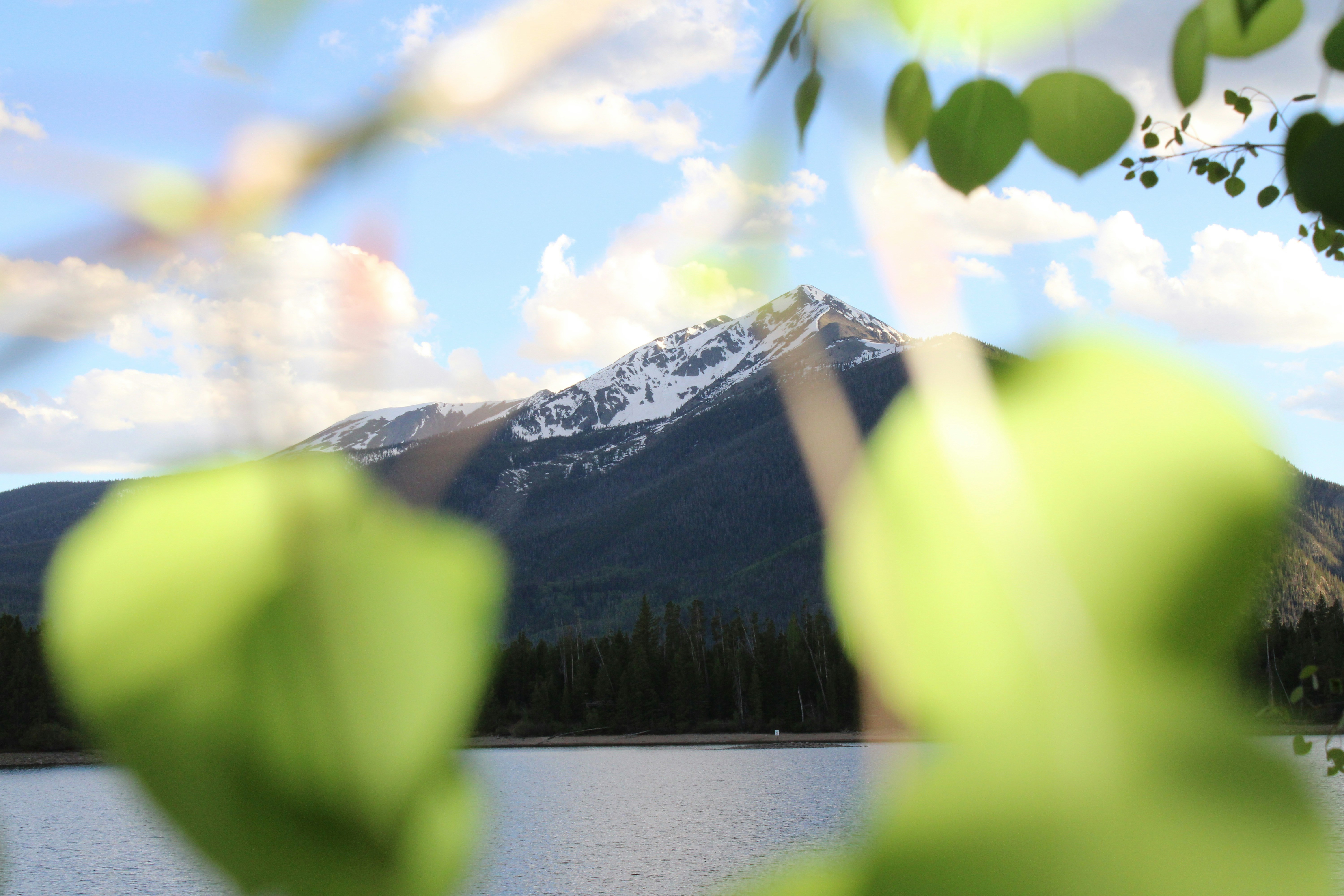 Tevaughn Pounds (@tevaughn13) | Unsplash Photo Community