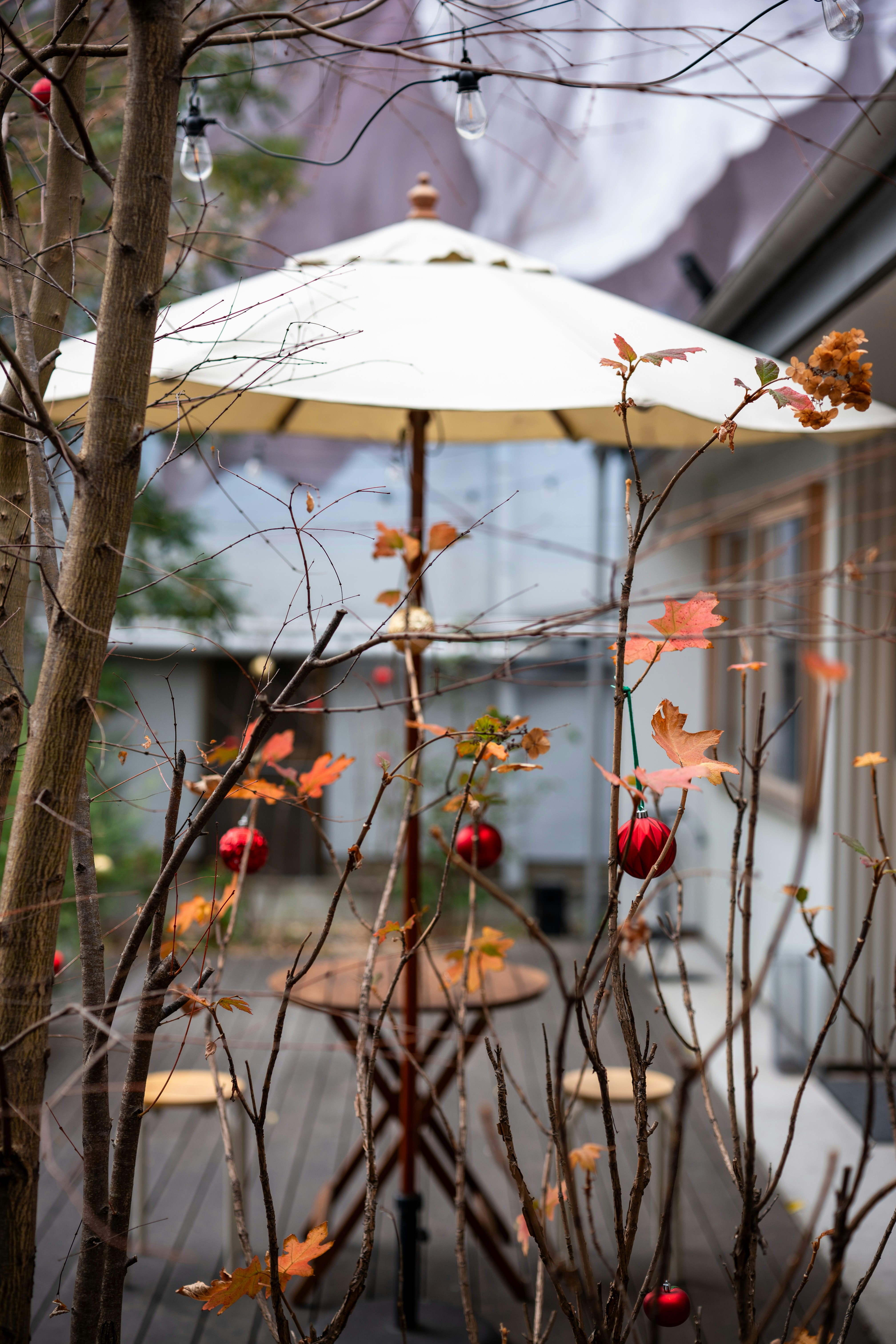Autumn Strings and Lanterns Over a Quiet Patio