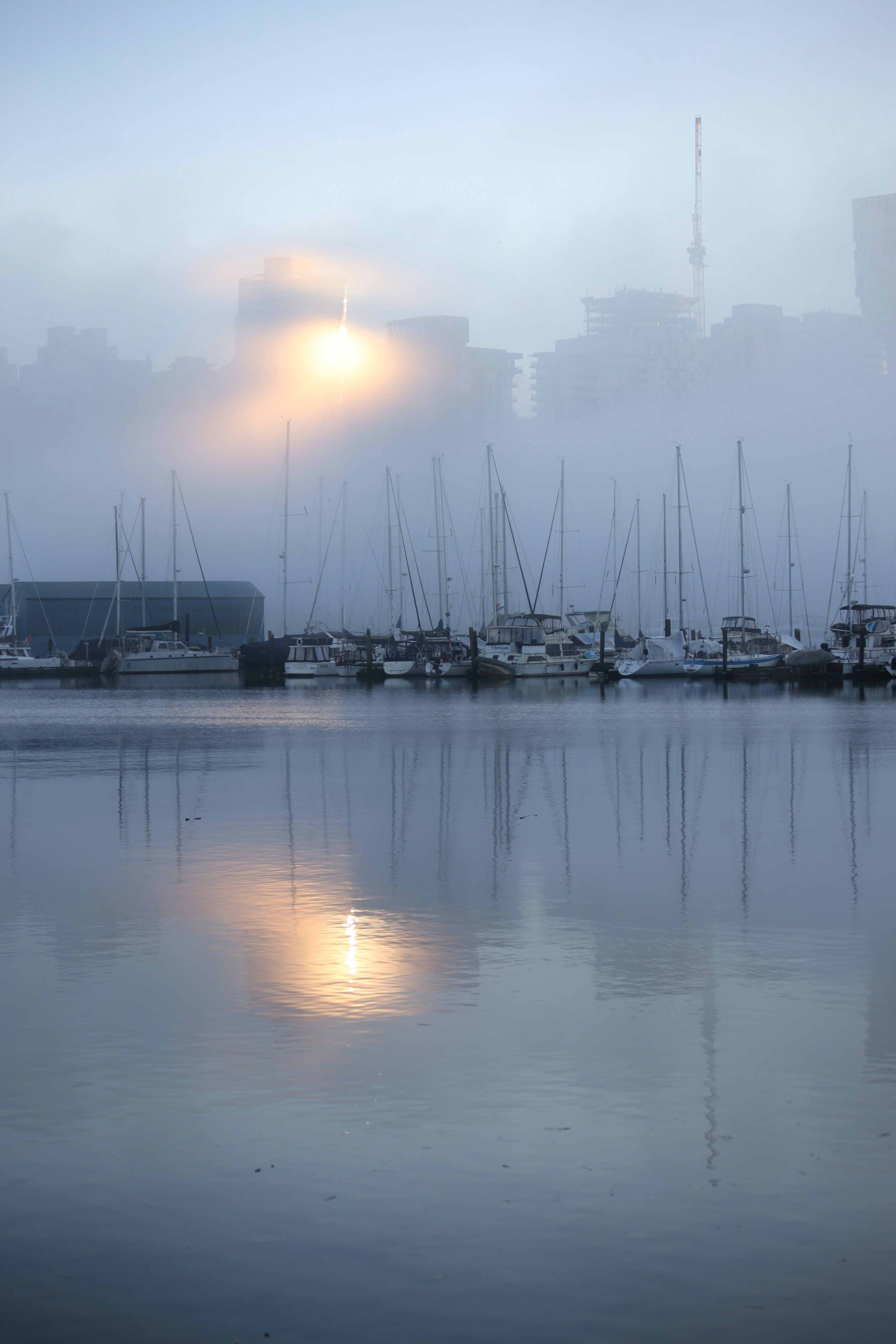Warm Spark Over a Misty Marina