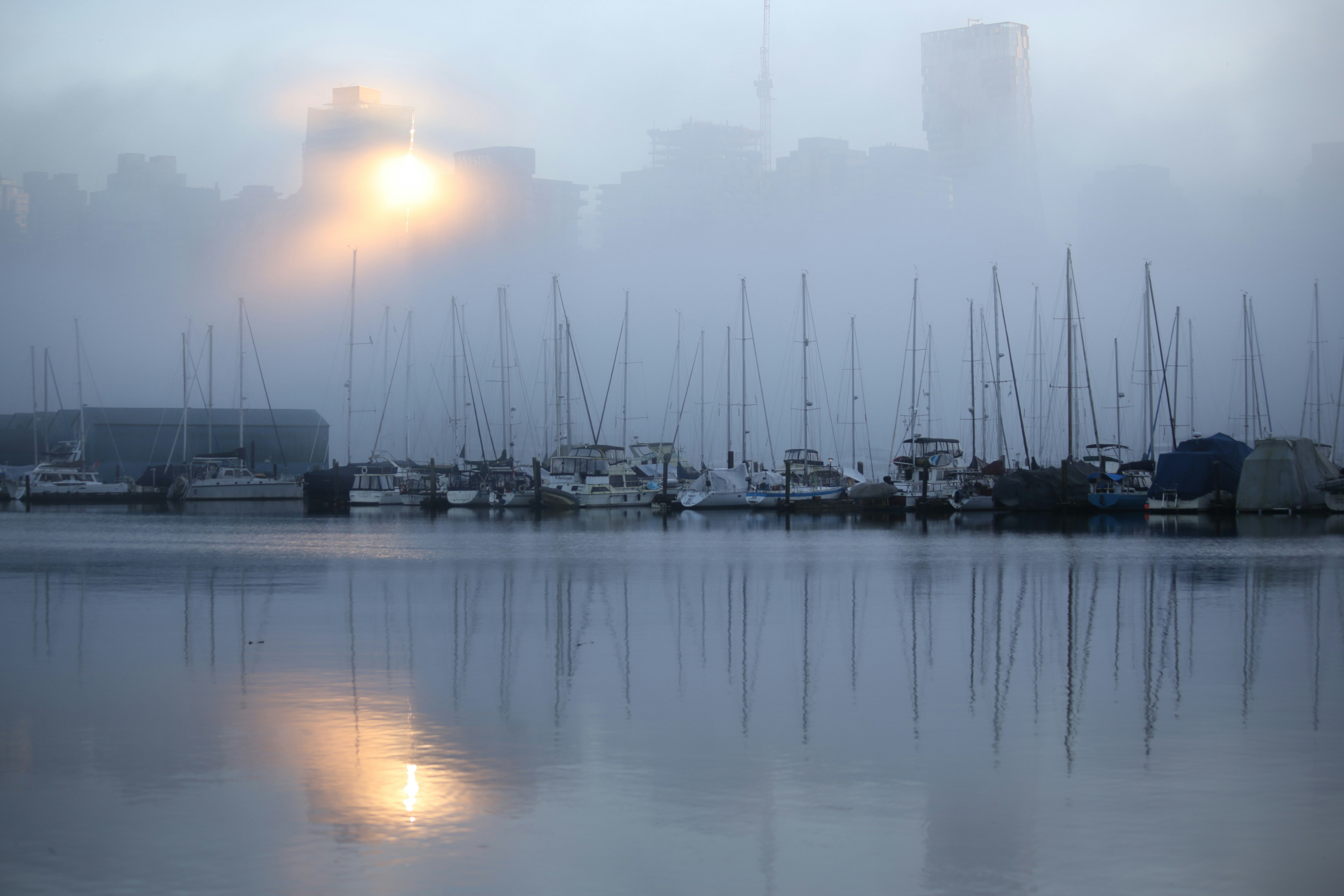 Fog-Cooled Marina Reflections at Dawn