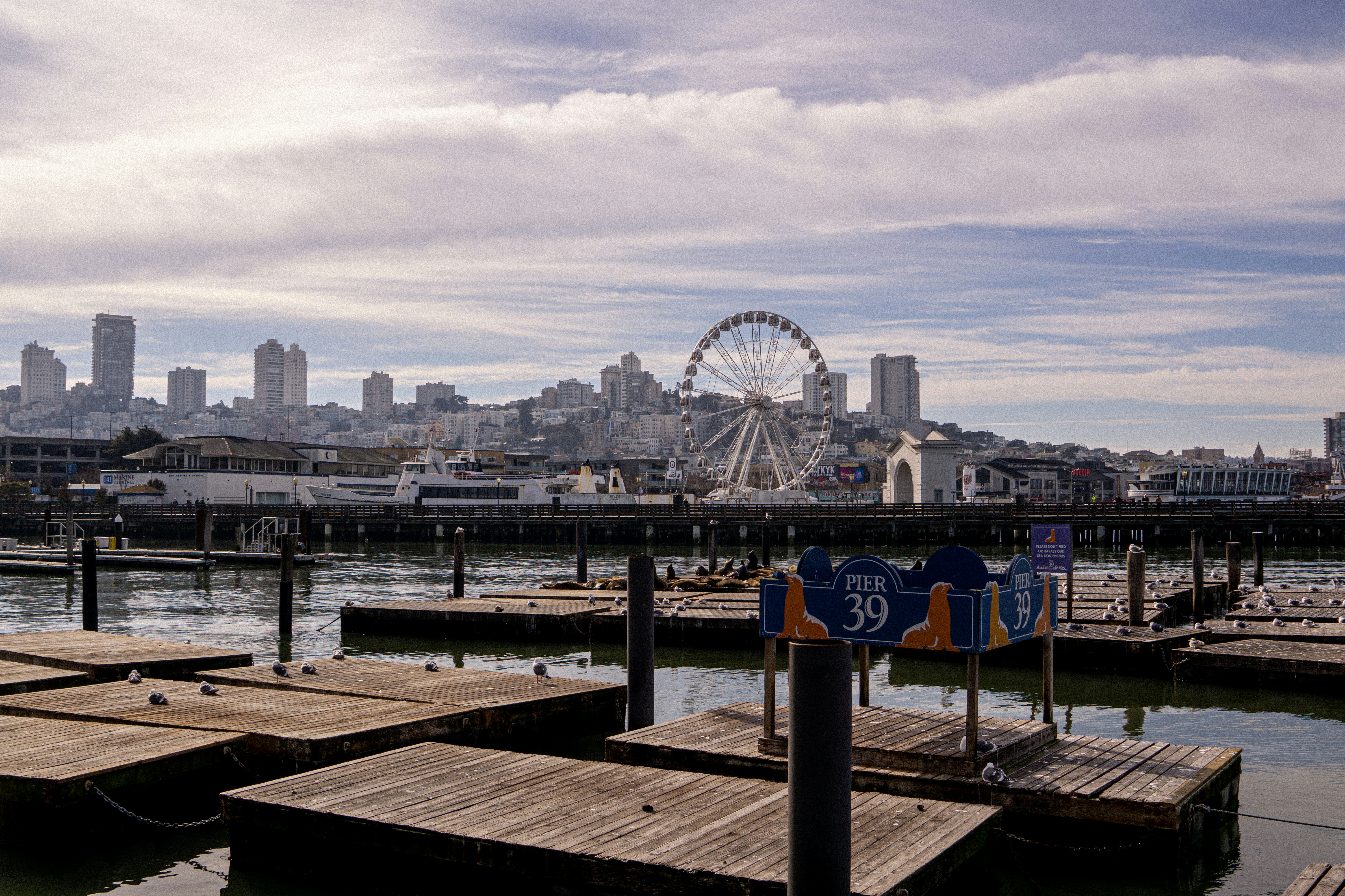 Overwater Wharf with the City’s Ferris Wheel Skyline