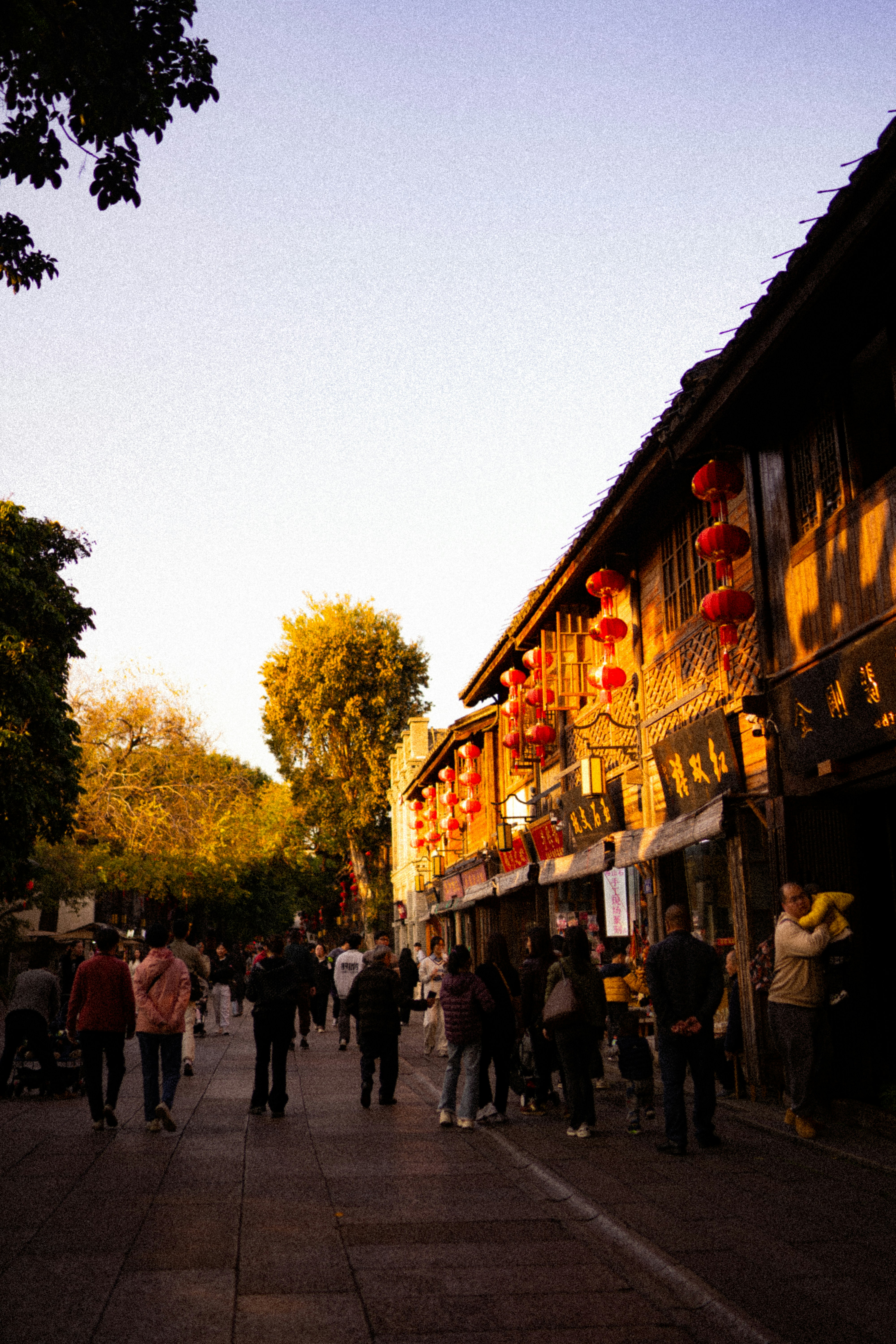 Lantern-lit Street in Warm Evening Light