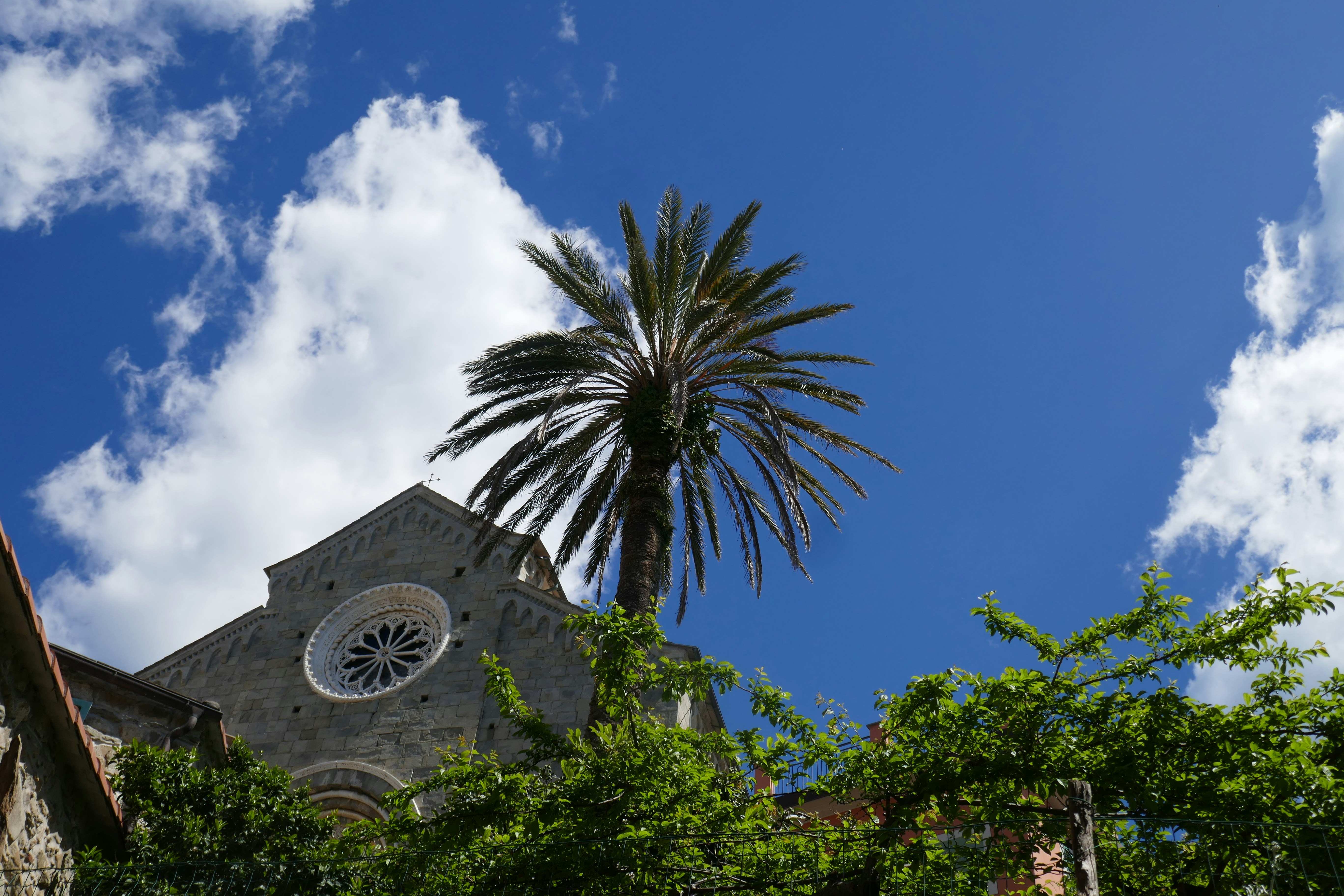 Palm-fringed church façade under a sapphire sky