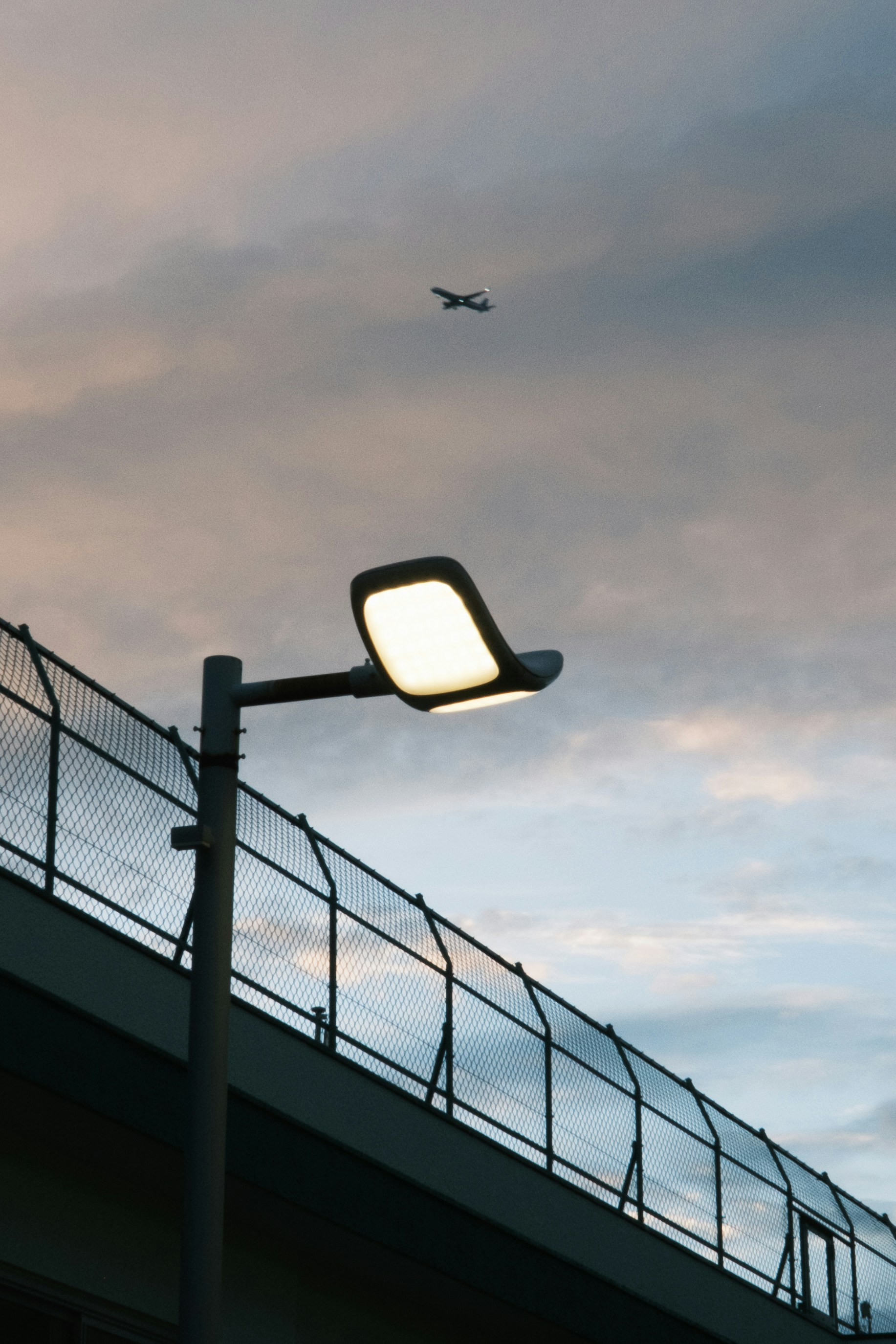 Midair Crossing: A Streetlight Stares Down the Dusk