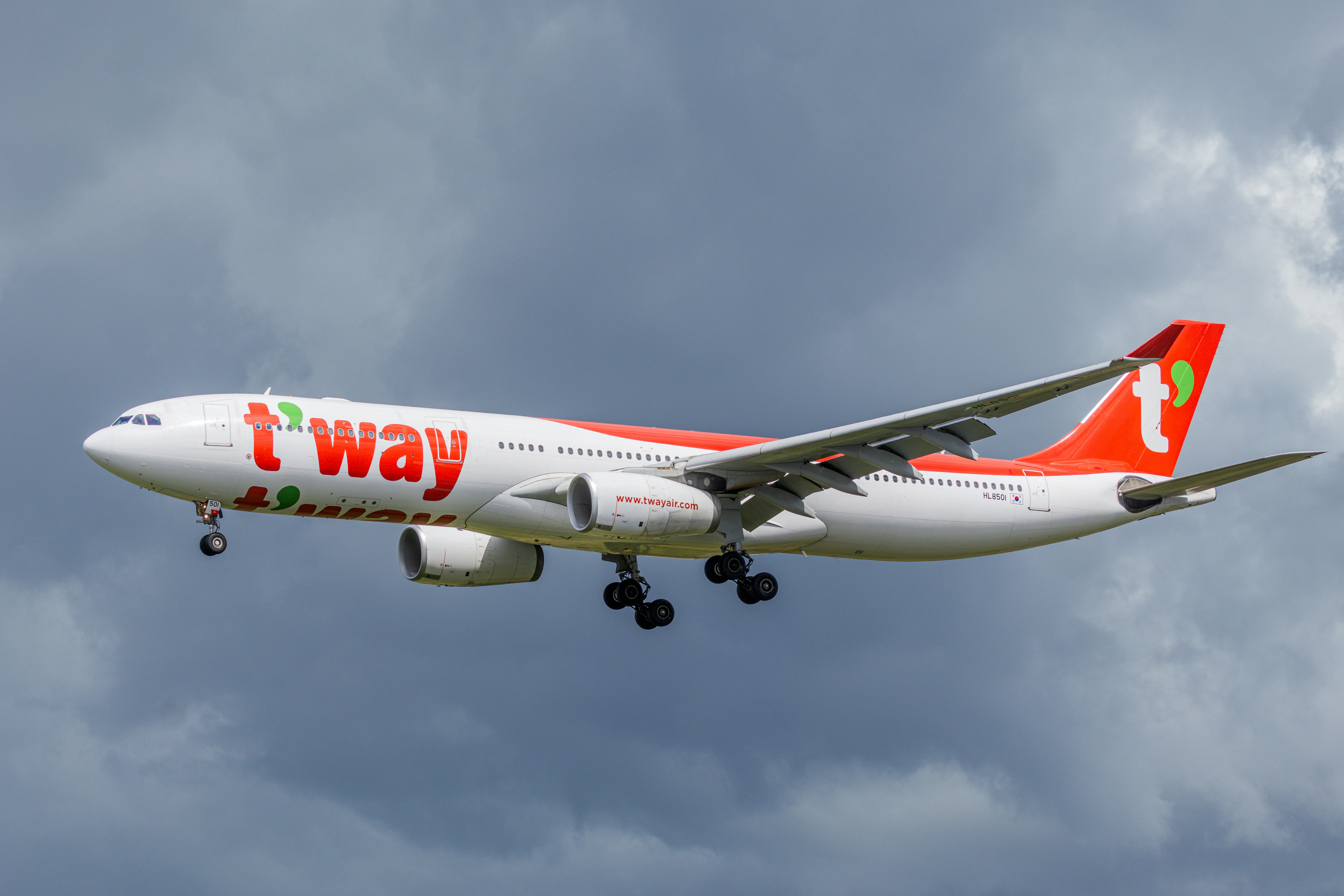 Toward the Horizon: A Wayfarer's Wing in Flight