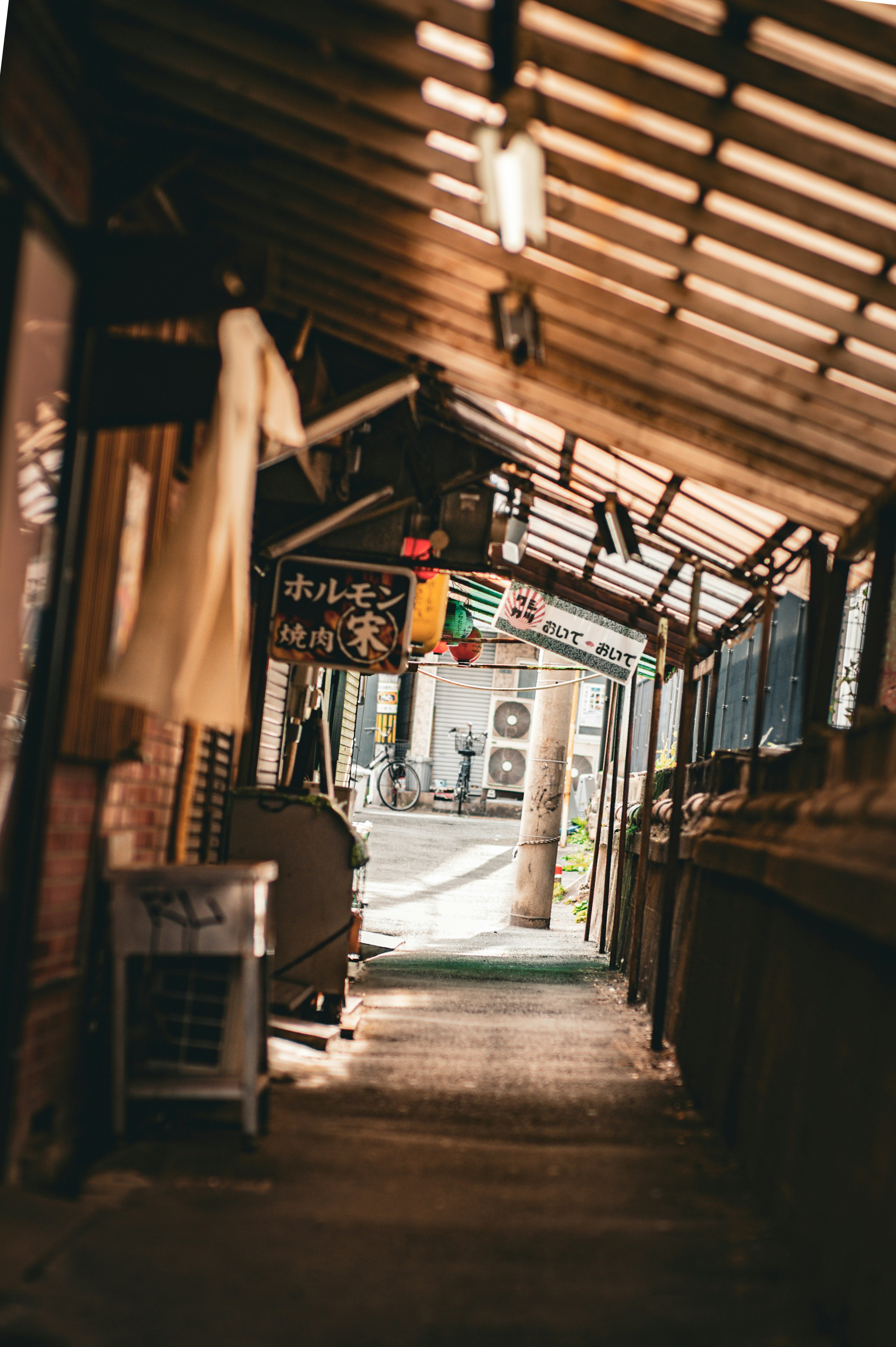 Lantern-lit Alleyway Between Shops in Quiet Arcades