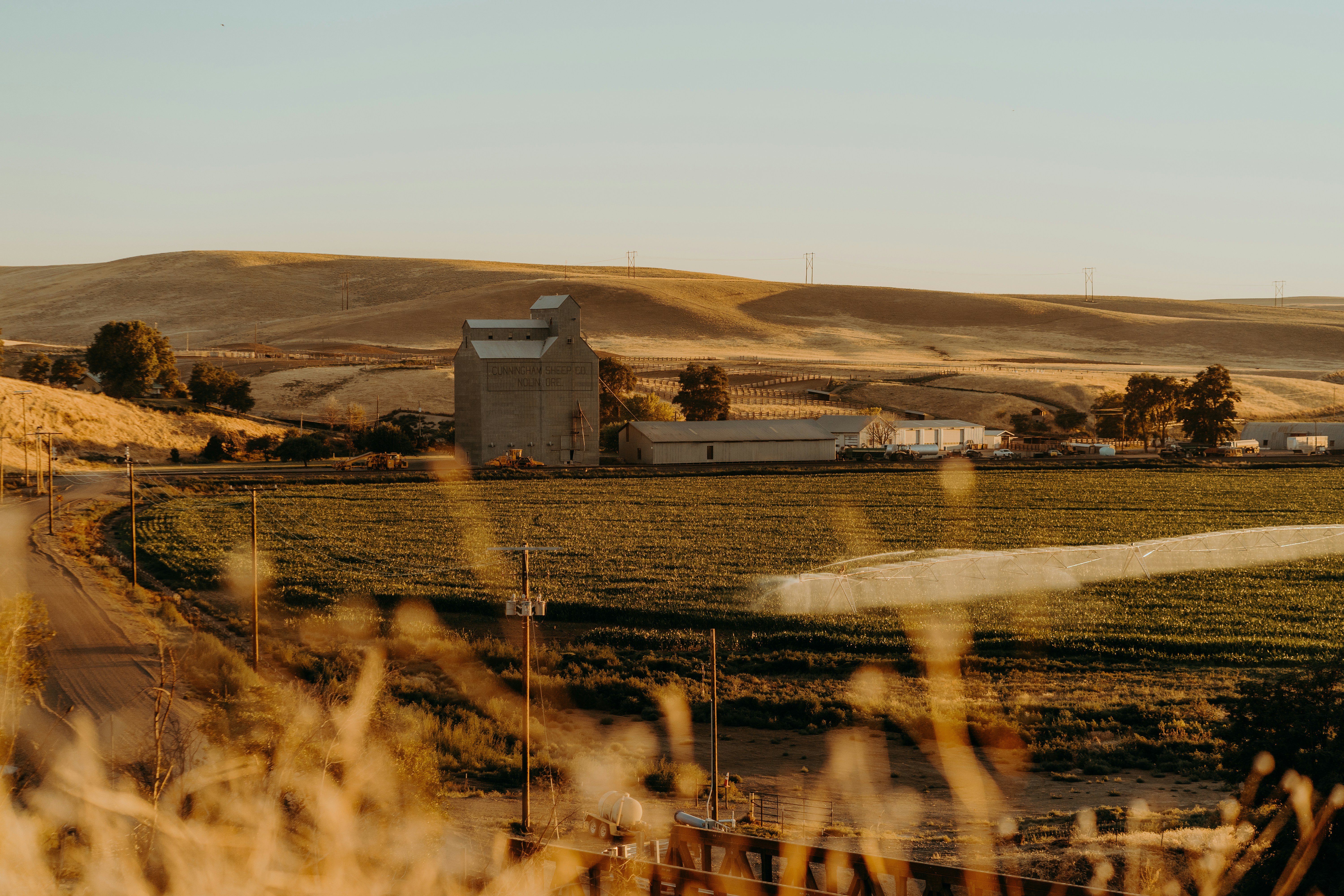 Amber Farmstead Under Golden Hills