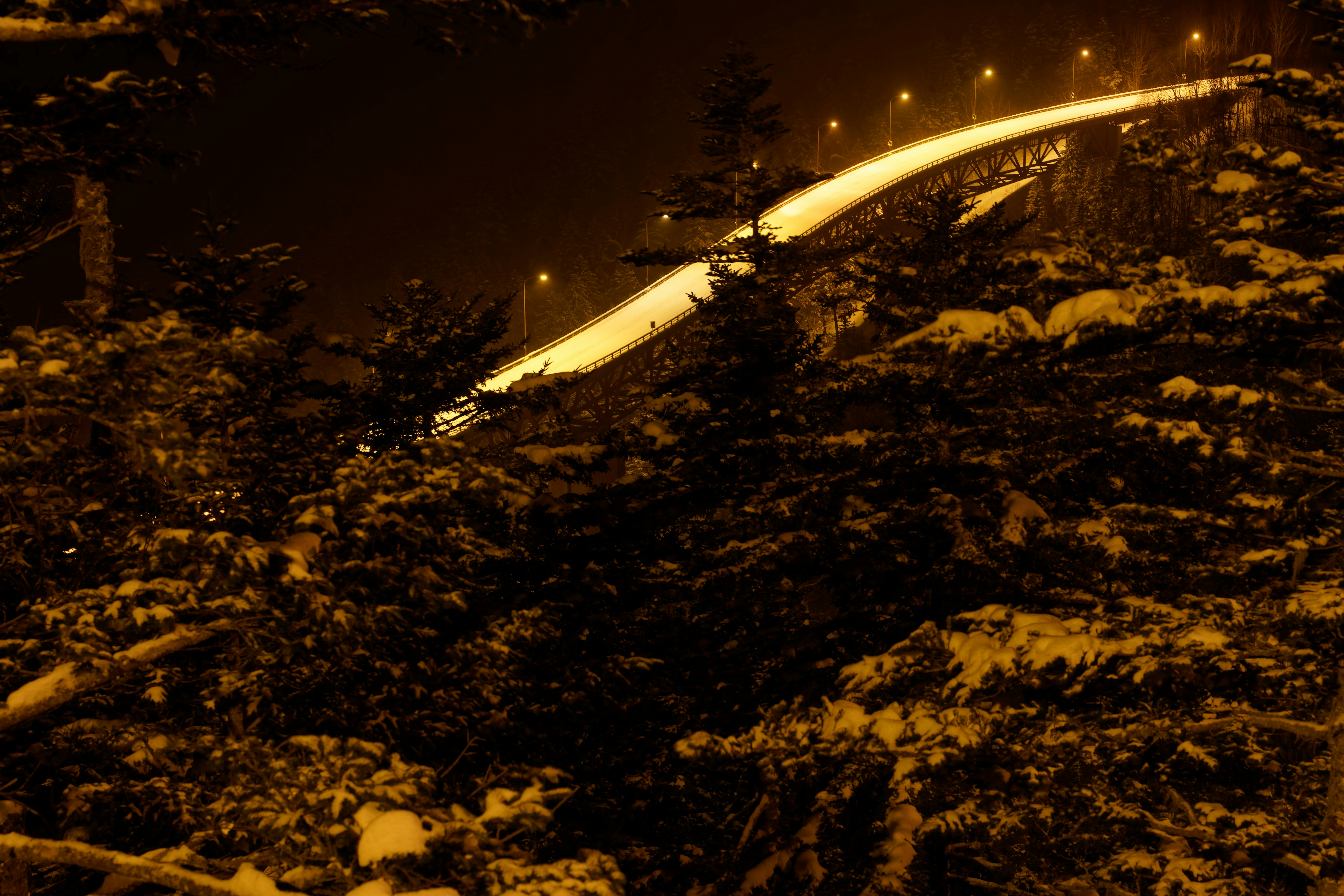 Snow-Capped Curve: Night Road Woven Through the Pines