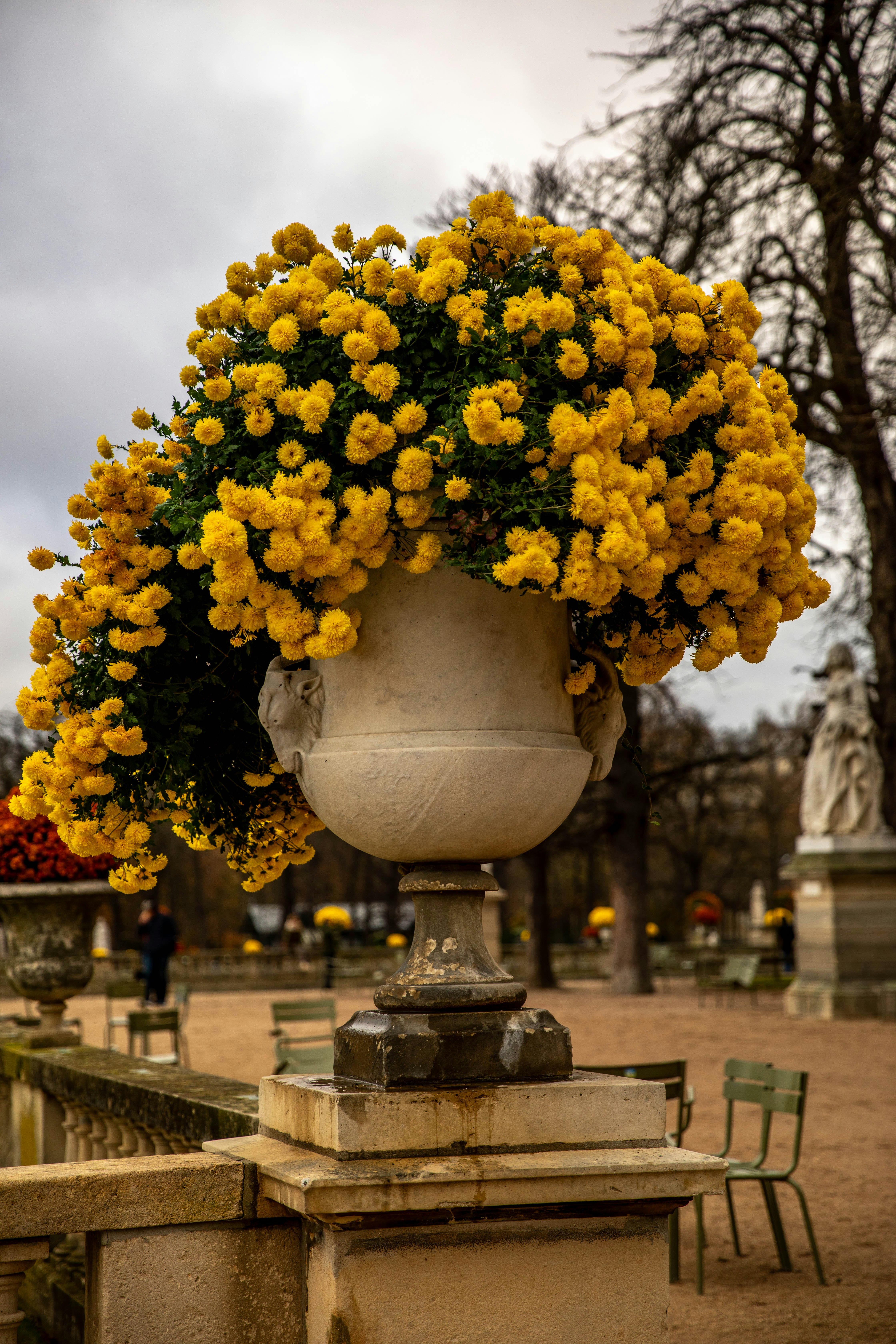 Sunlit Marigold Urn: A Burst of Yellow in the Garden Altar